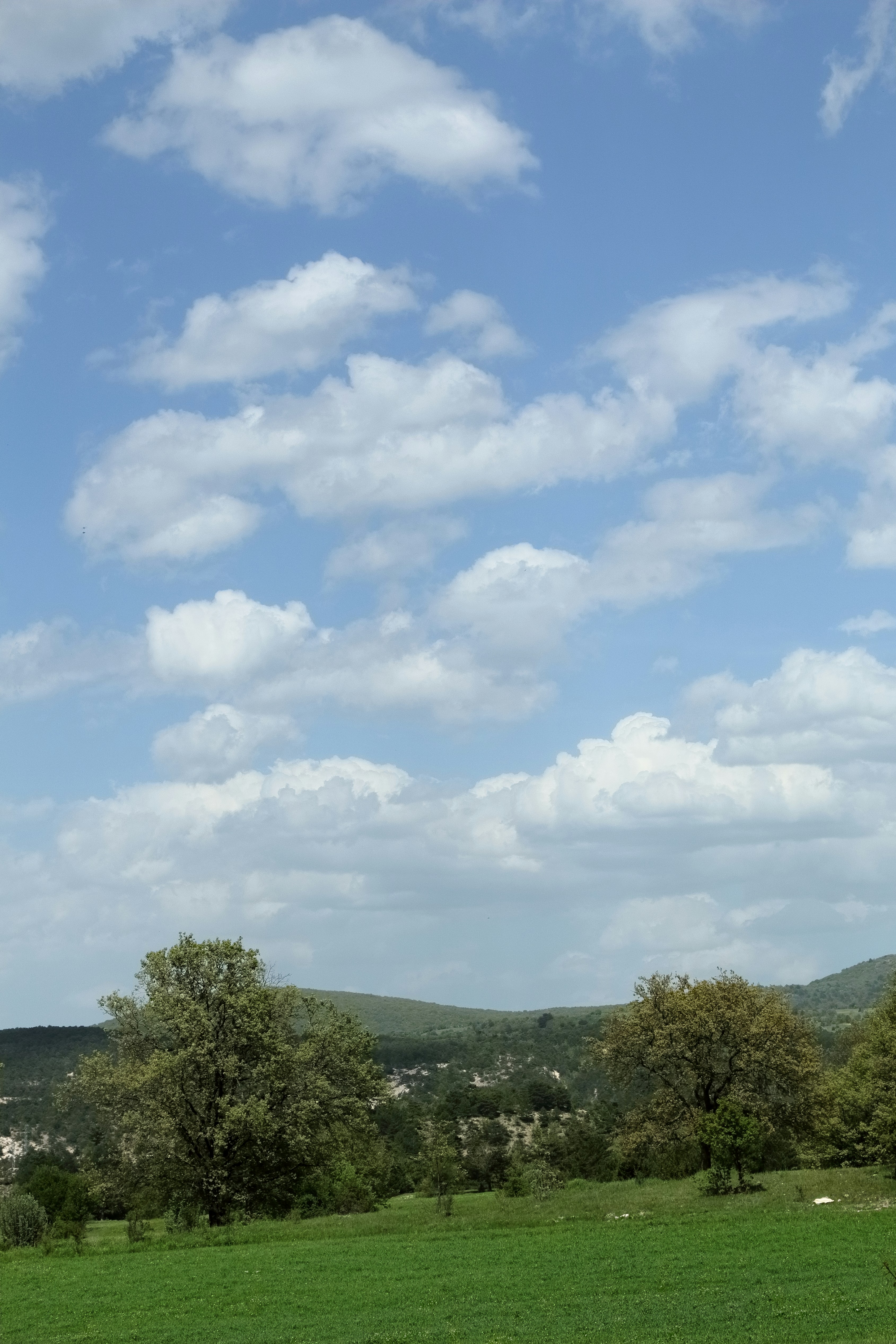 Rolling Hills Under a Cotton-Cloud Sky