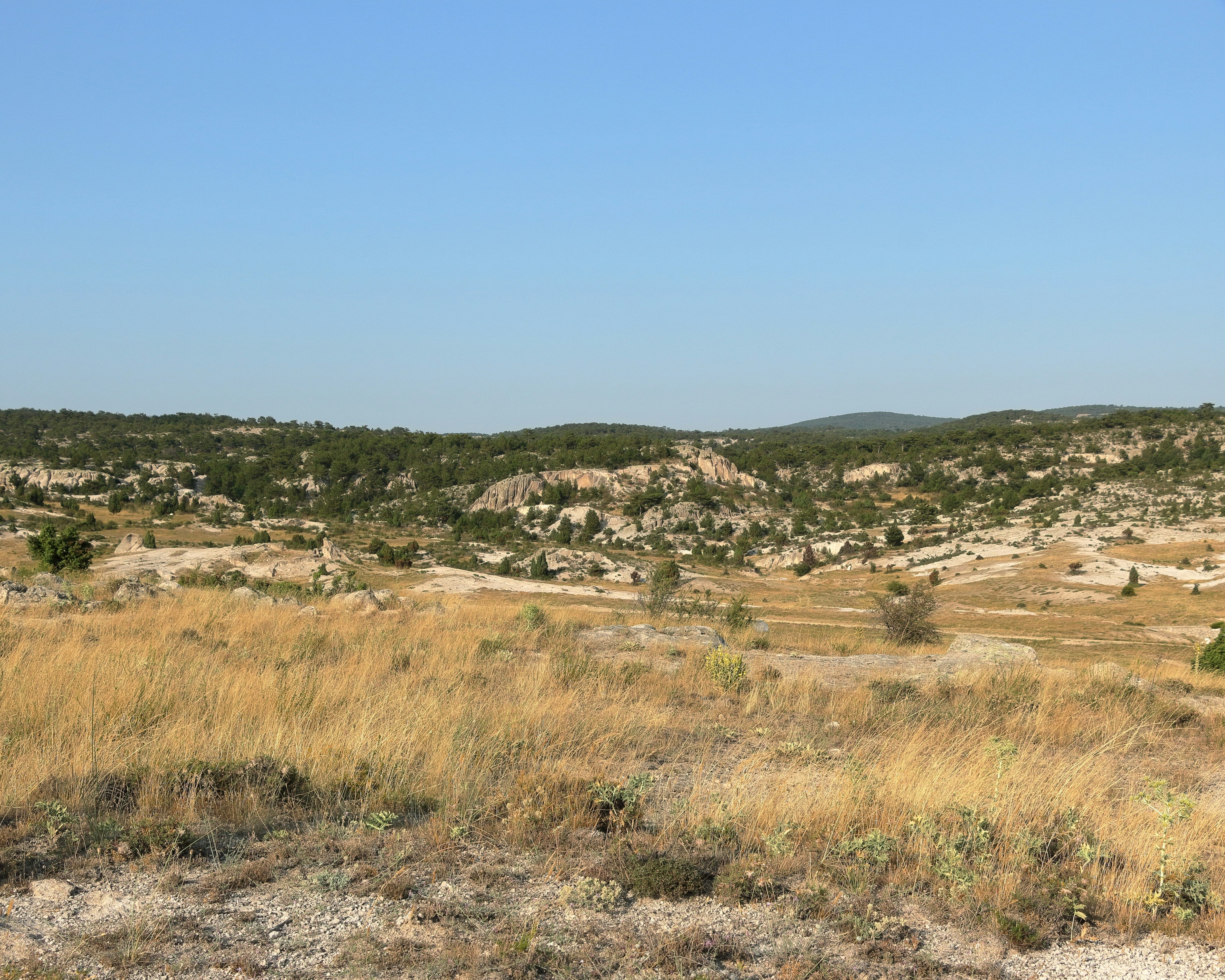 Quiet Plains Under a Wide Blue Sky