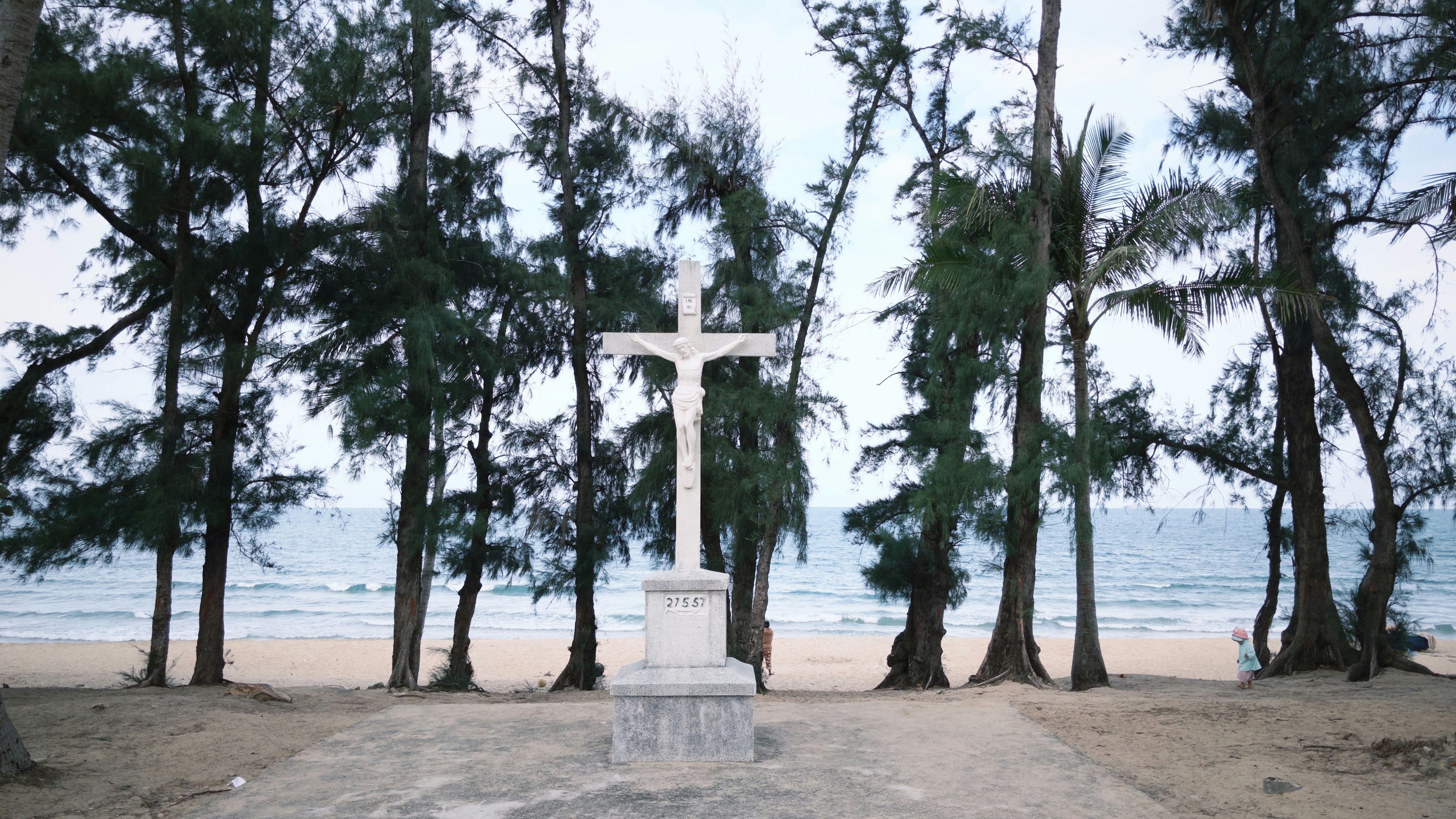 Crossing Light: A Central Monument Framed by Pines by the Sea