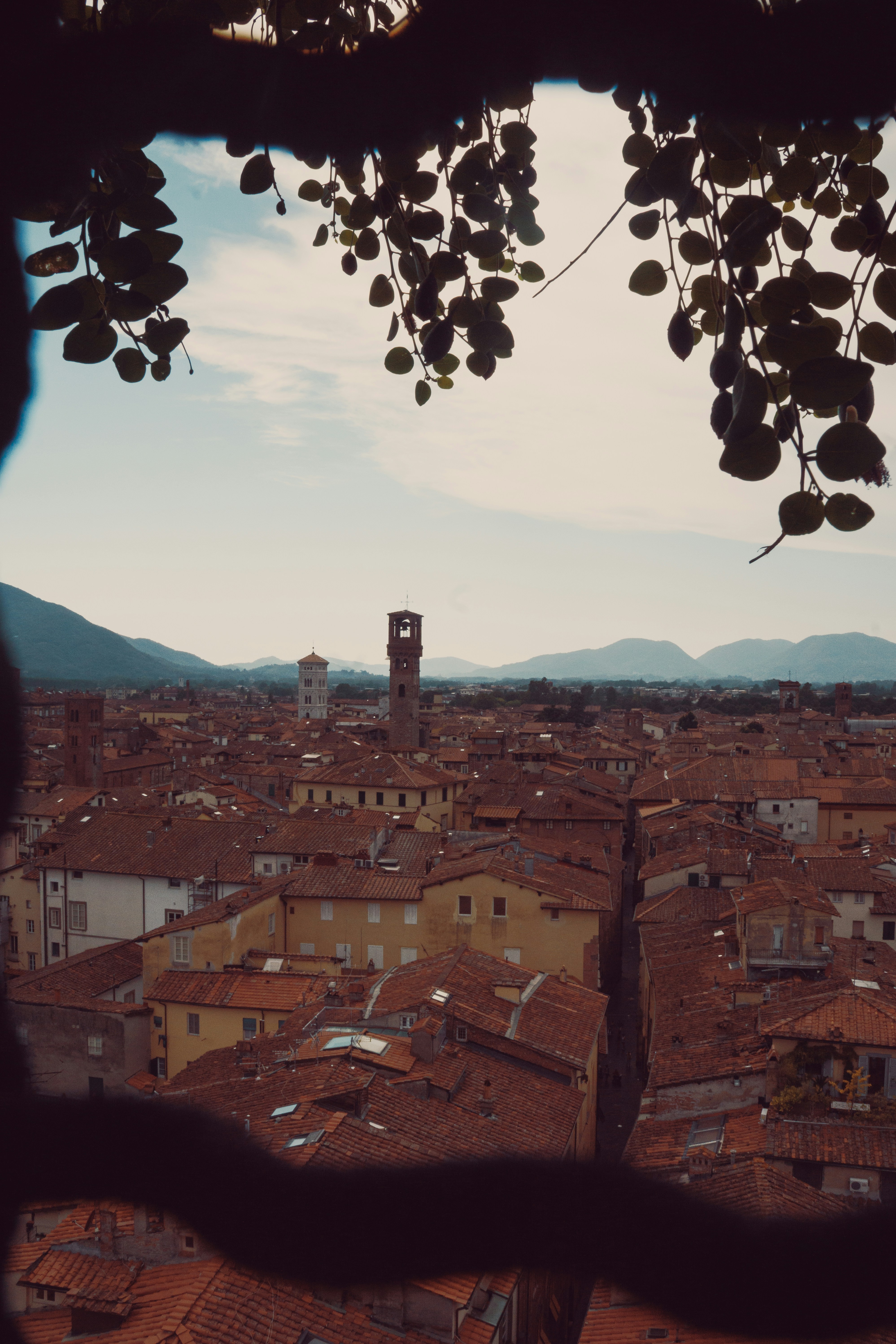 Rooftop Mosaic: Sunset Over a Medieval Italian Town