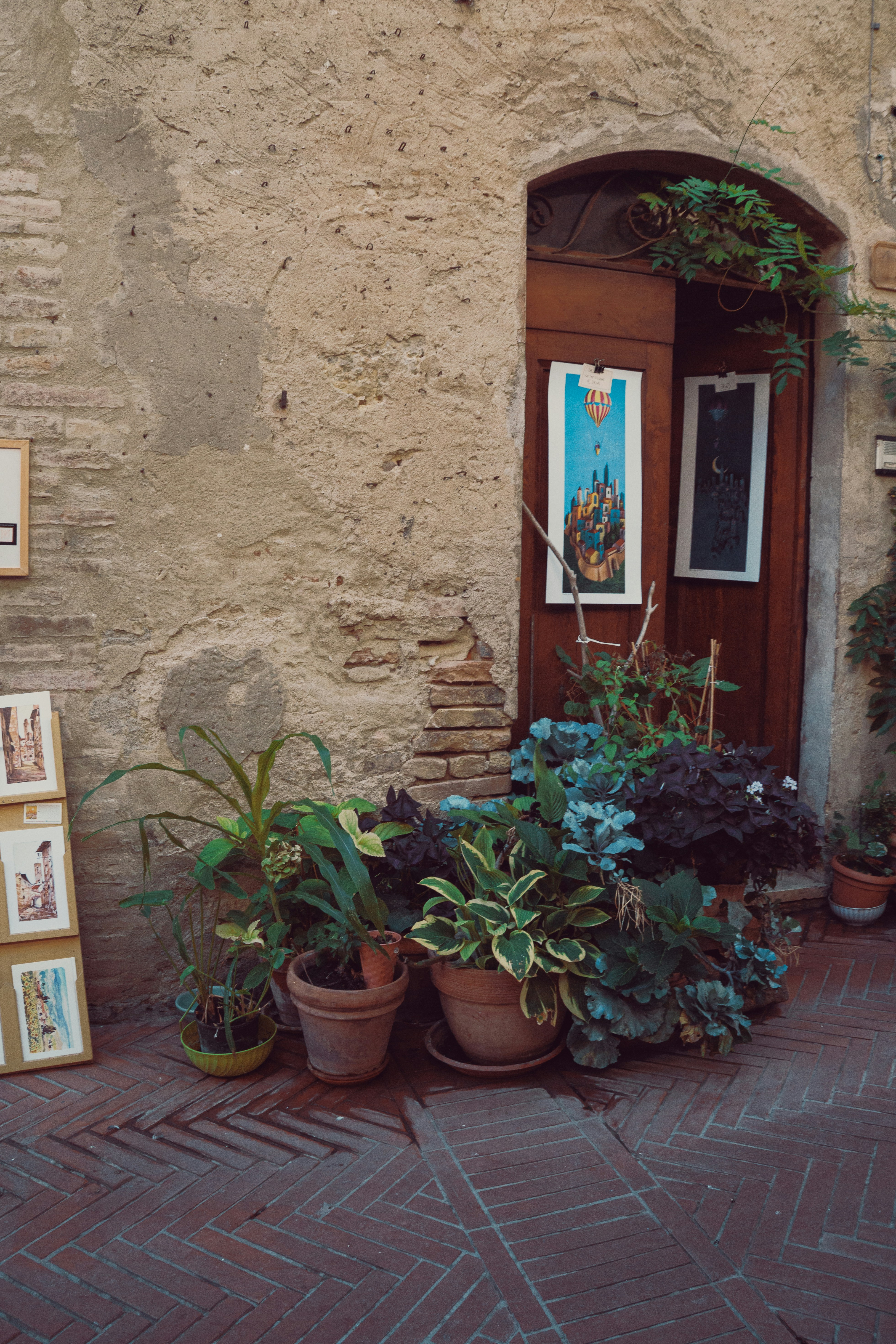 Urban doorway gallery tucked among potted greens