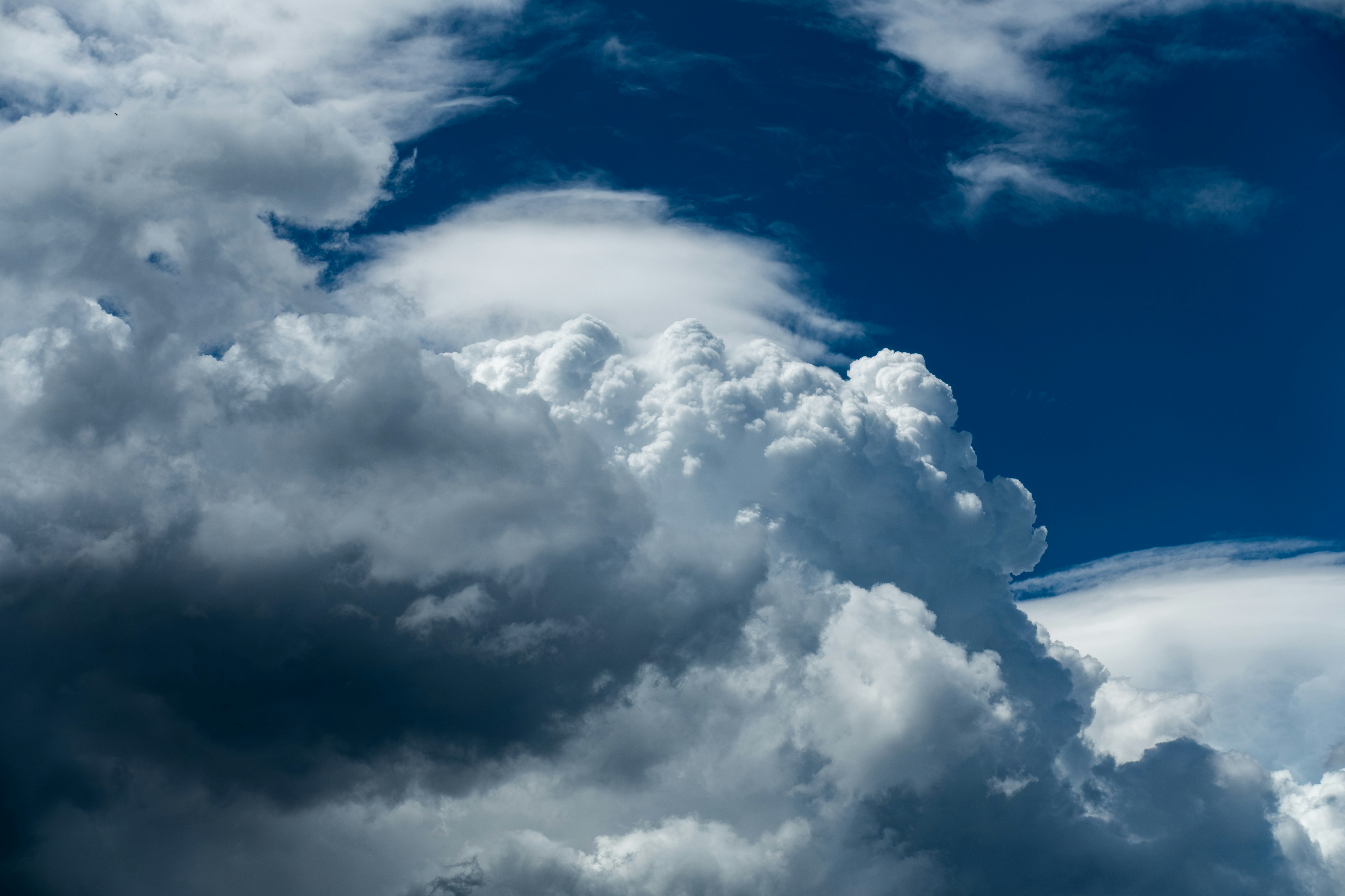 Skyward Giants: A Cumulus Awakening Over a Deep Blue Canvas