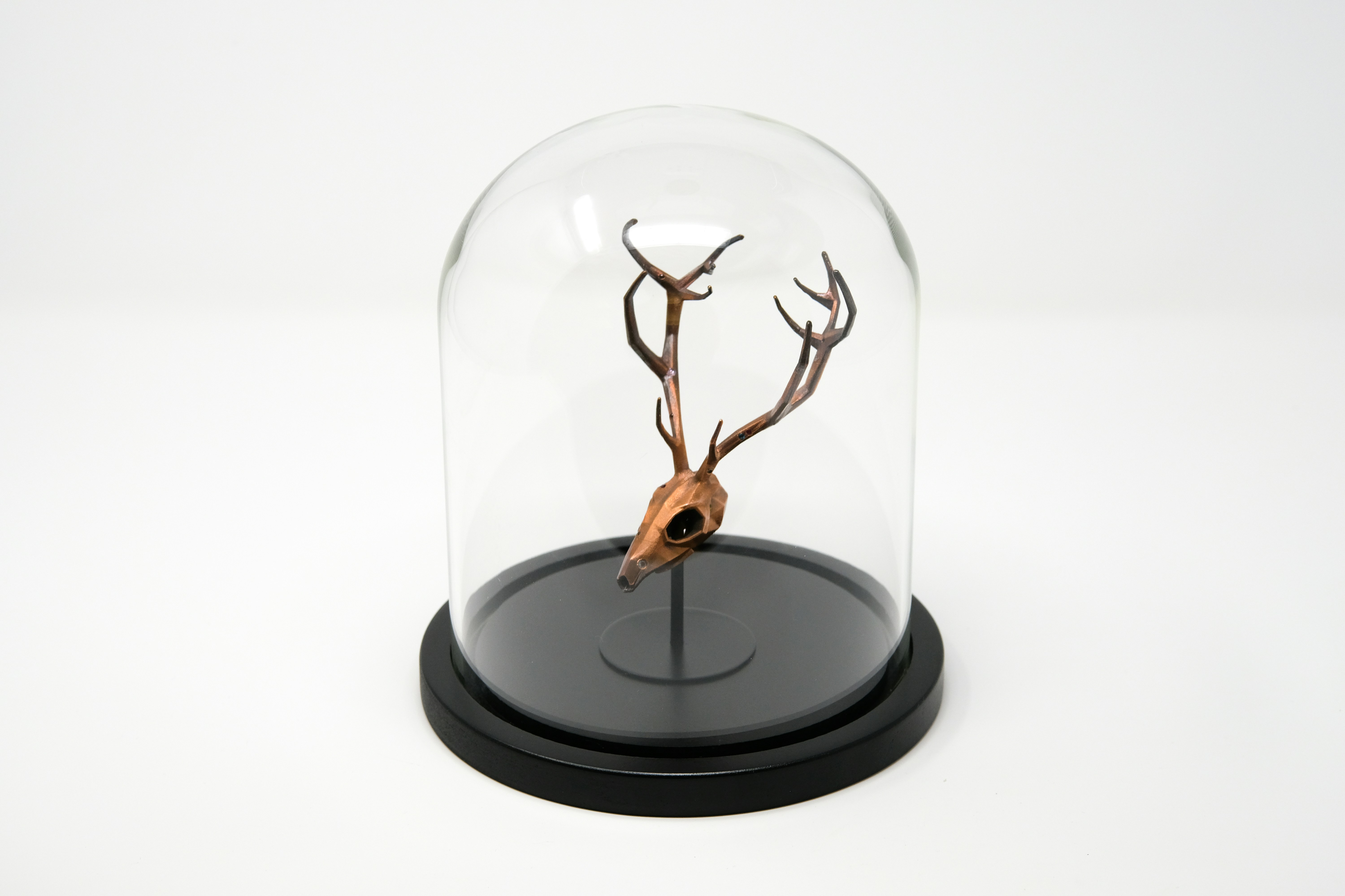 Glass Dome Encounter: A Deer Head Under a Tiny World