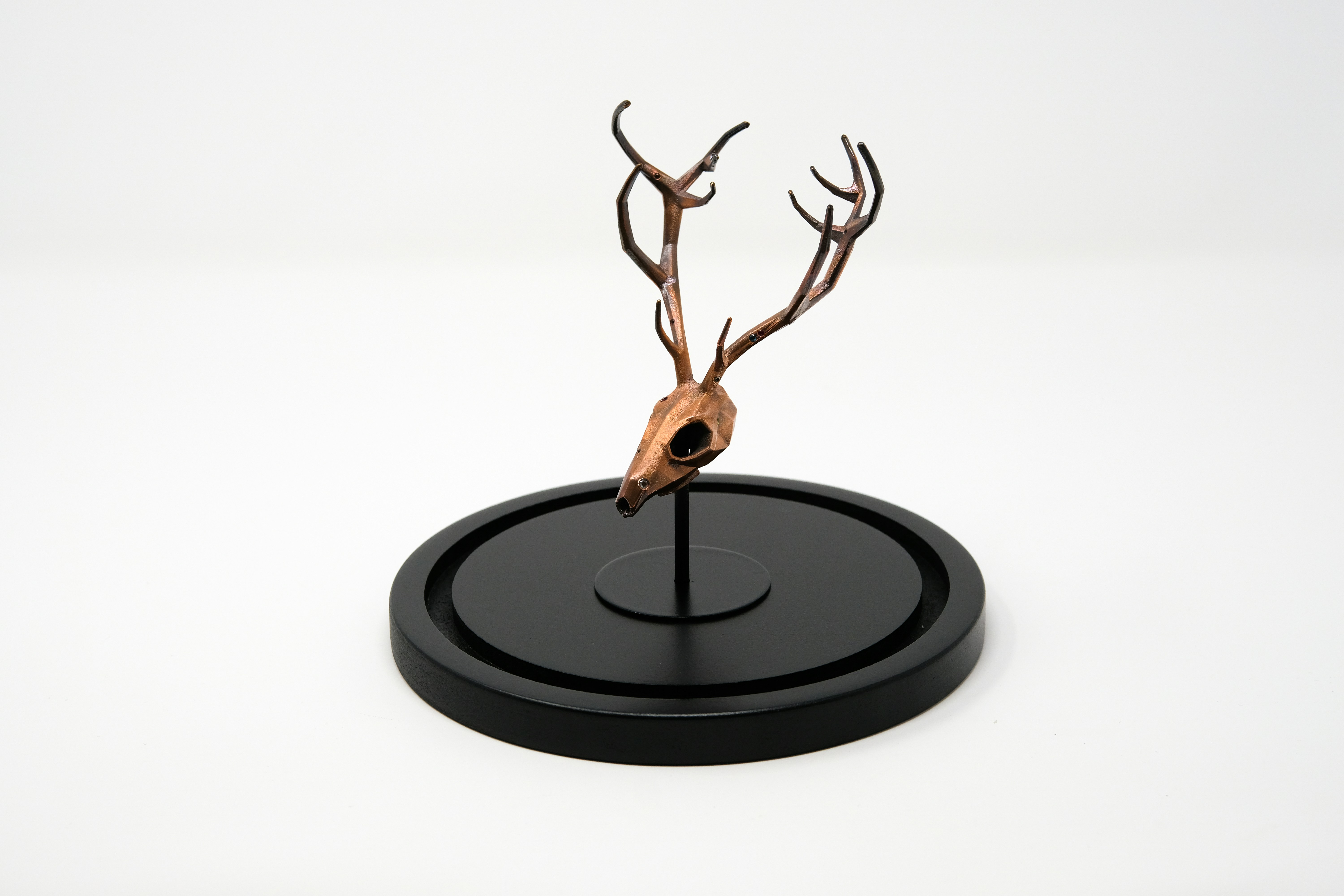 Stilled Might: A Deer Skull on a Minimal Plinth