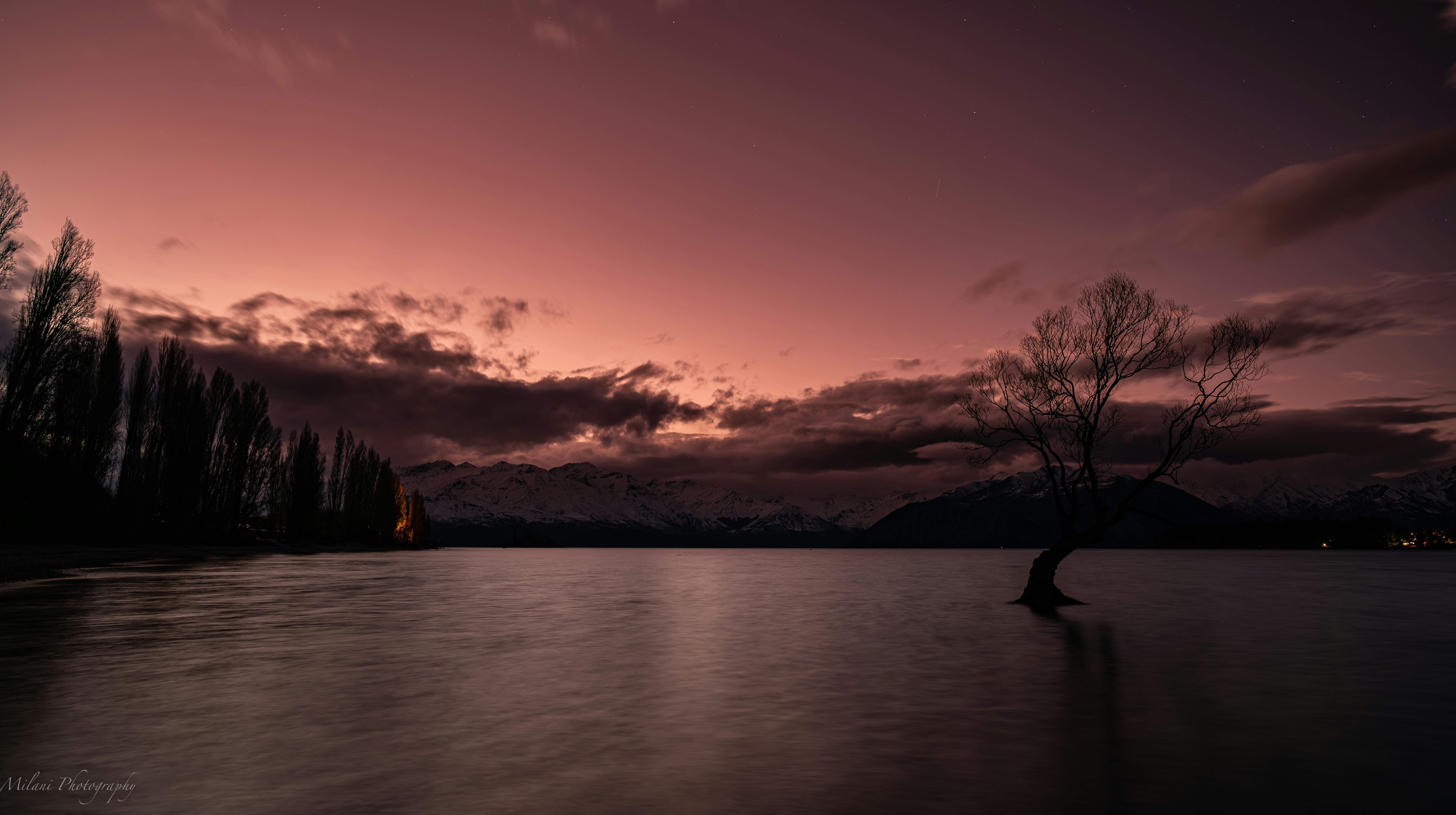 Twilight Sentinel: A lone tree in a tranquil reservoir under a rose-hued sky