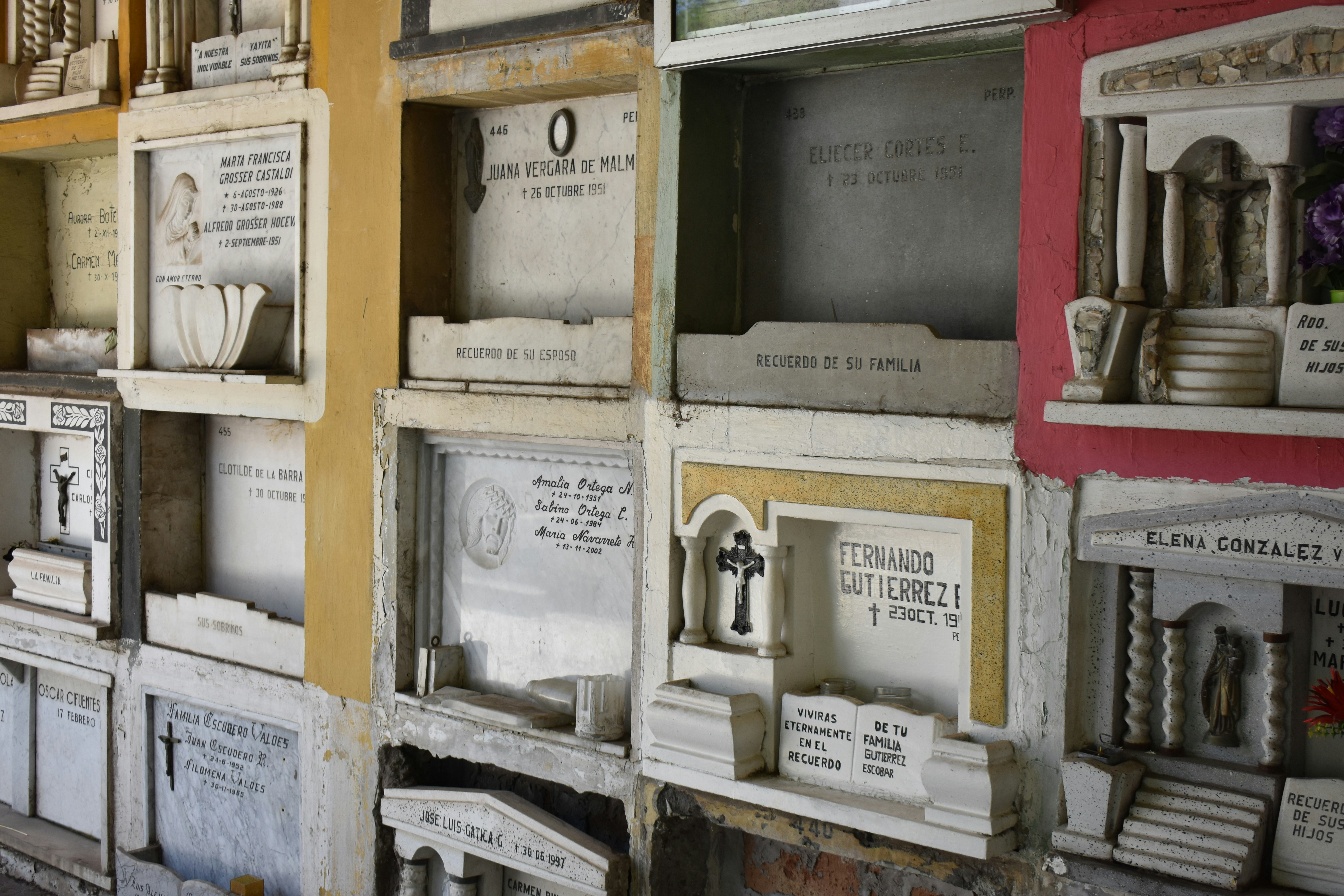 Monumental Rows: A Quiet Cemetery Wall of Names