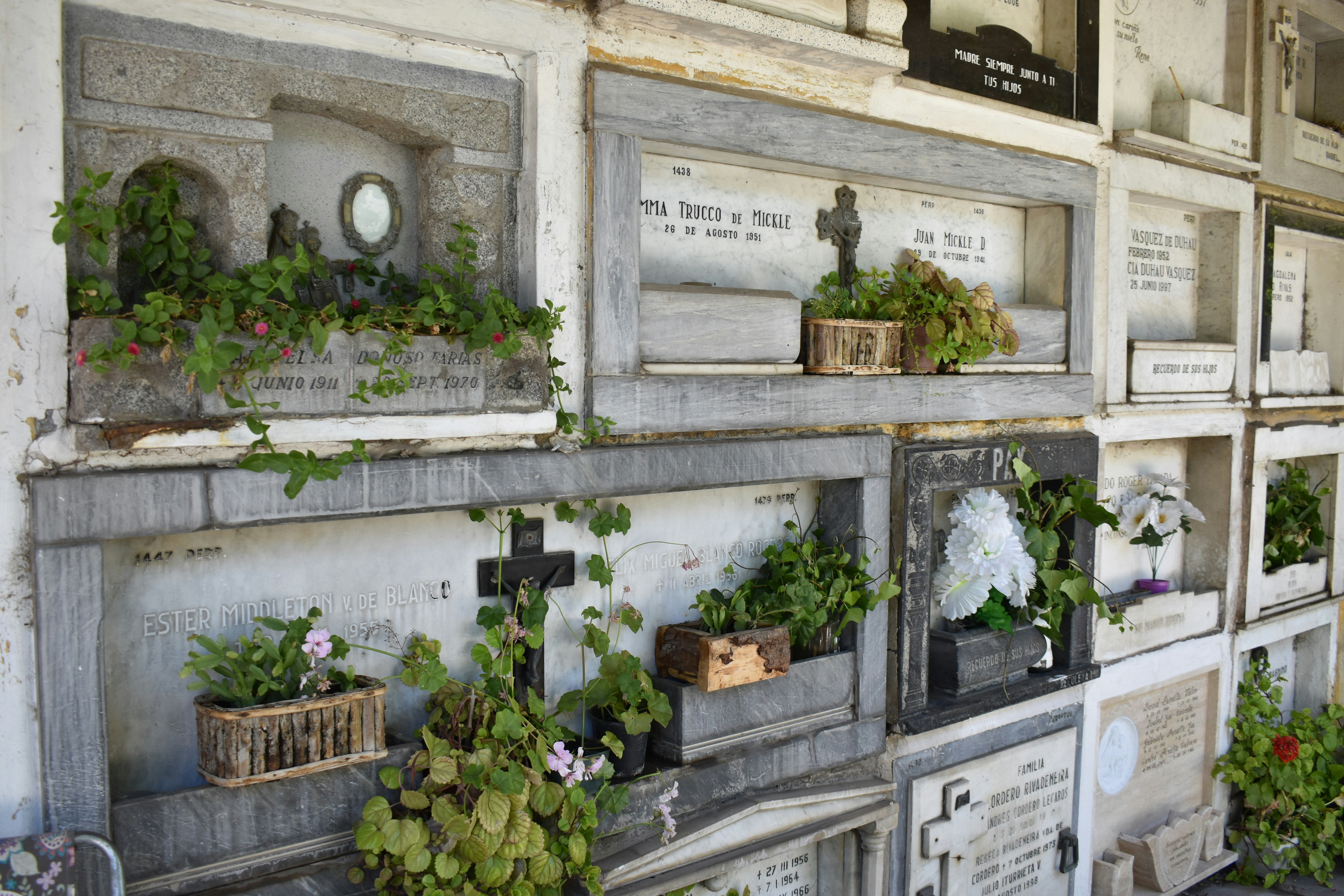 Overgrown Niches: A Quiet Wall of Eternal Rest