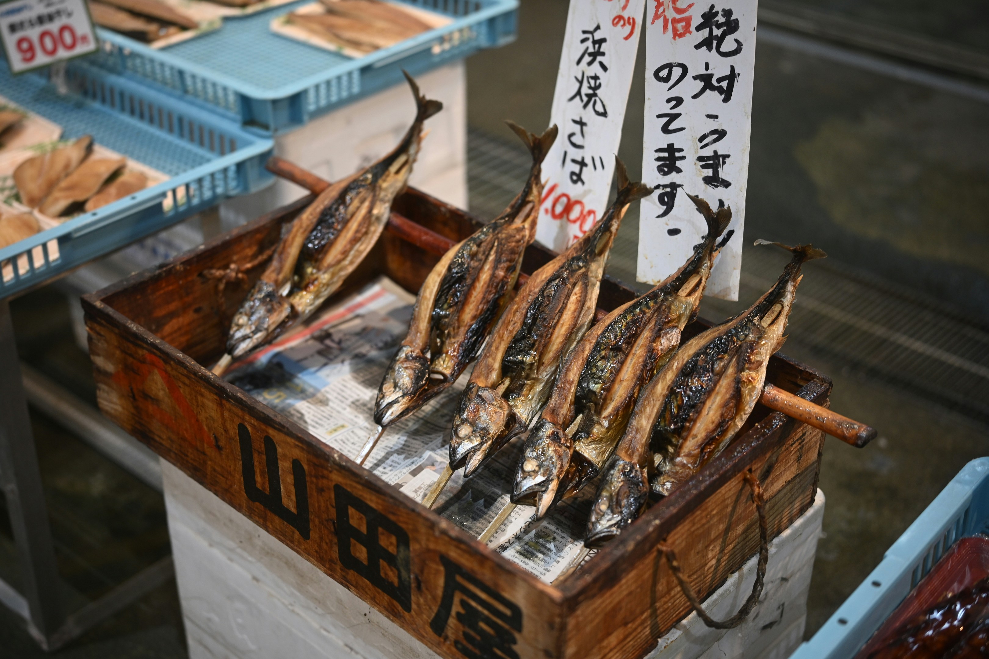 Row of Grilled Pikelet Fish on Wooden Crate at a Market Stall