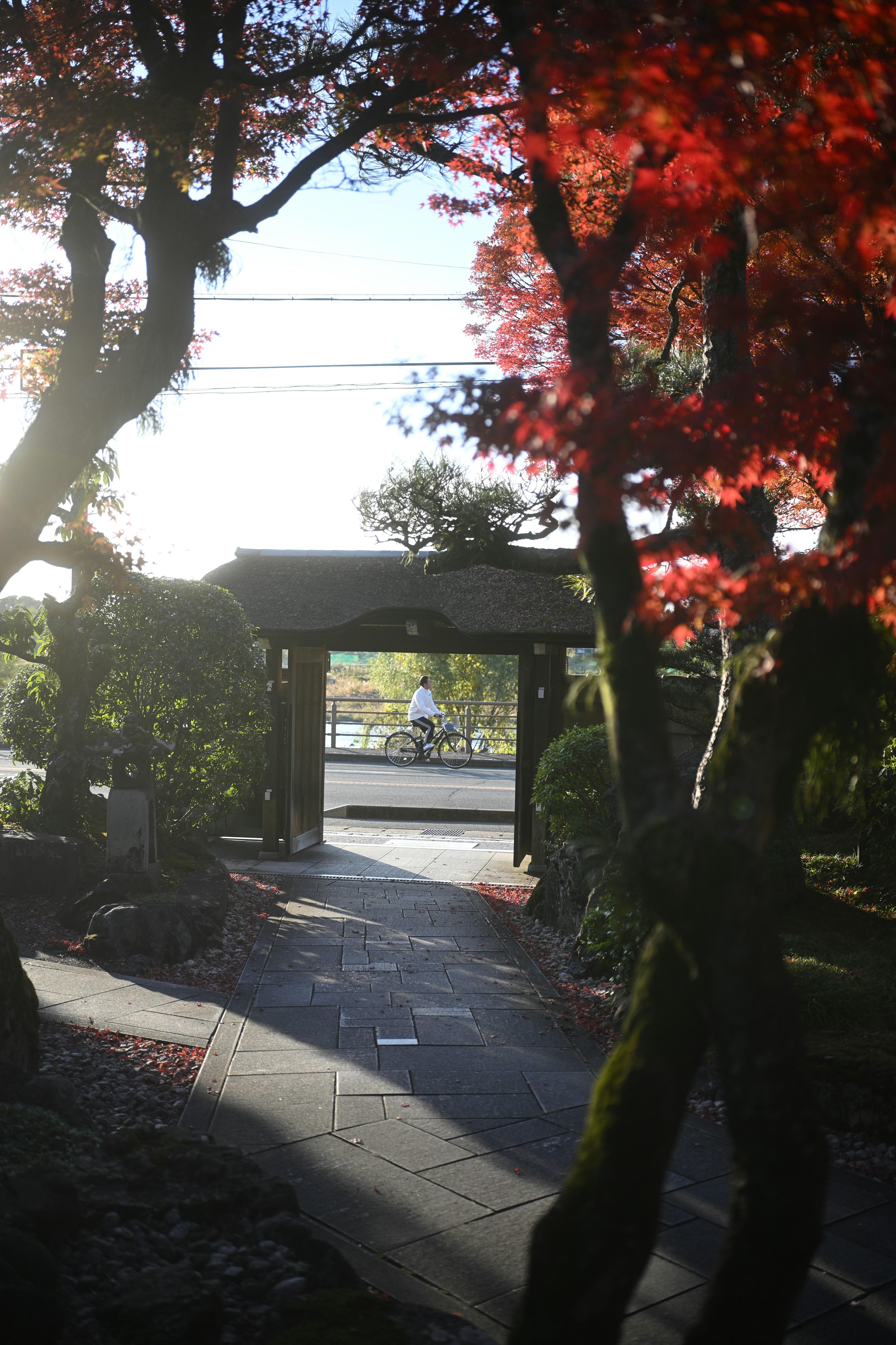 A person cycling past a traditional gate framed by autumn maple trees.