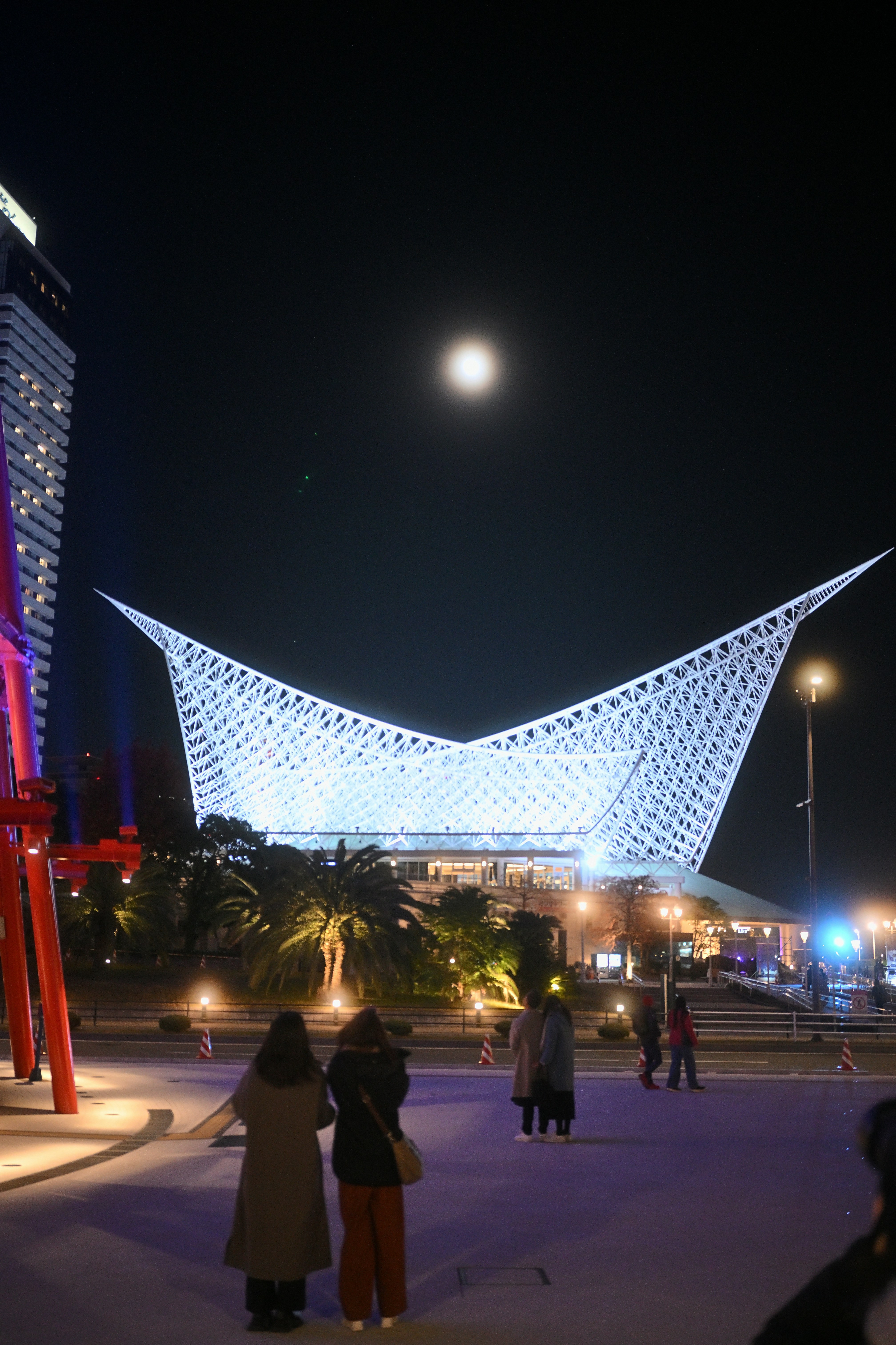 Moonlit Night at the V-shaped Lattice Canopy