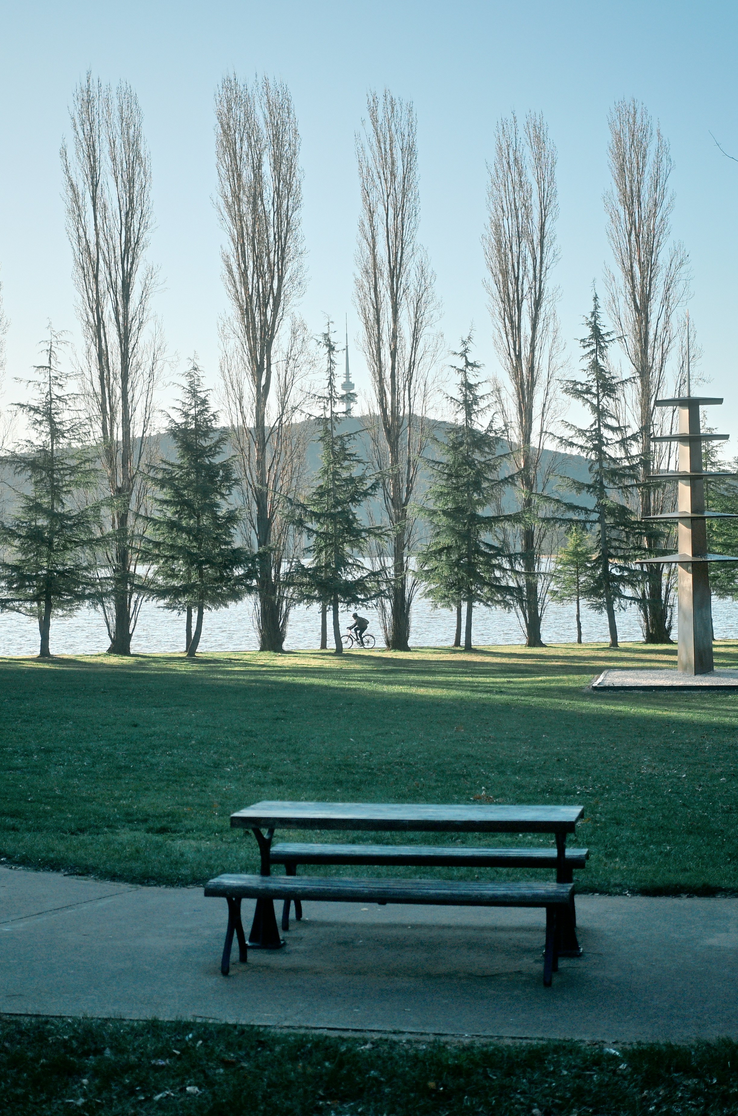 A person cycling past a lake with tall trees and a distant tower.