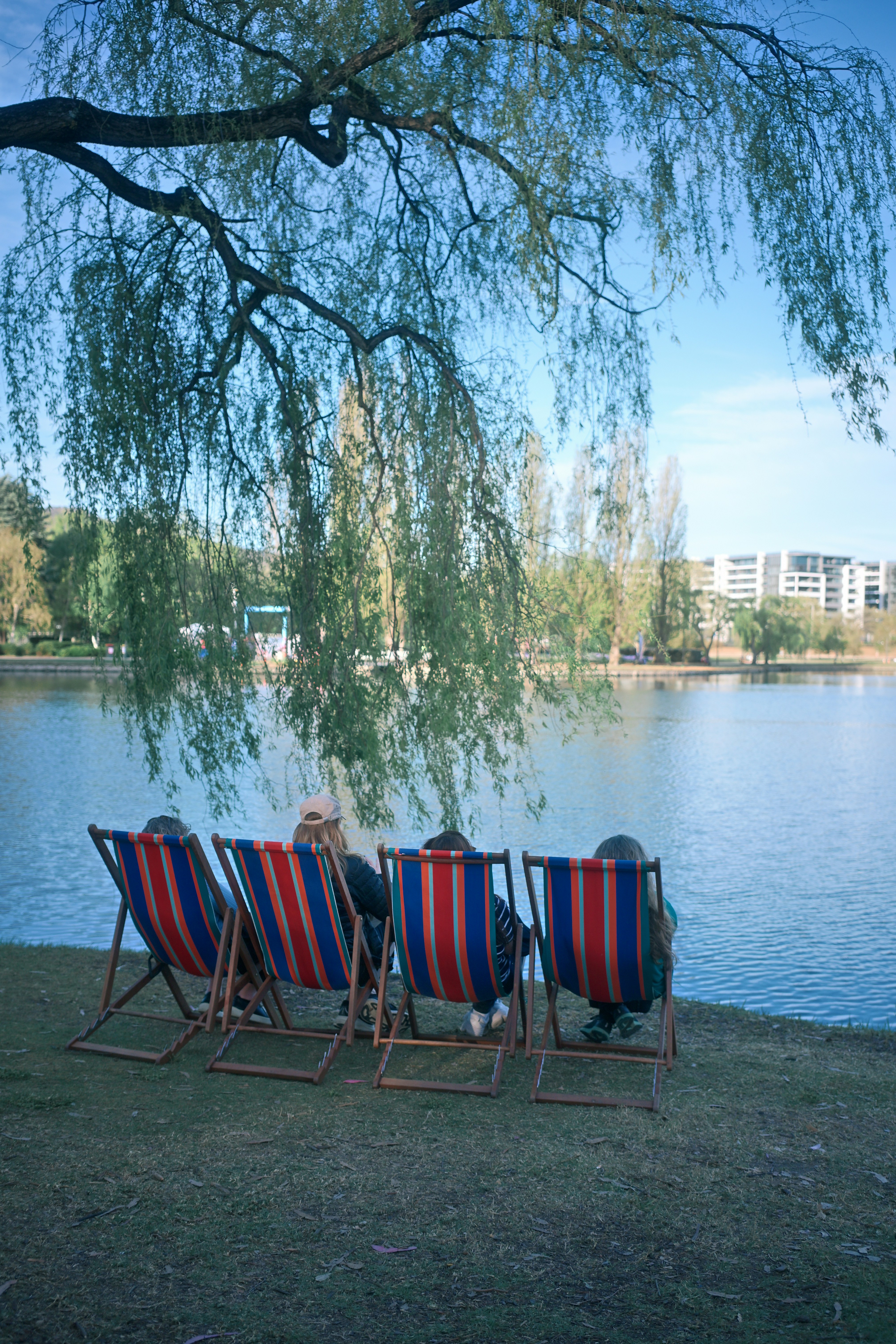 Chairs by the Riverside: Shared Quiet Under Willow Shade
