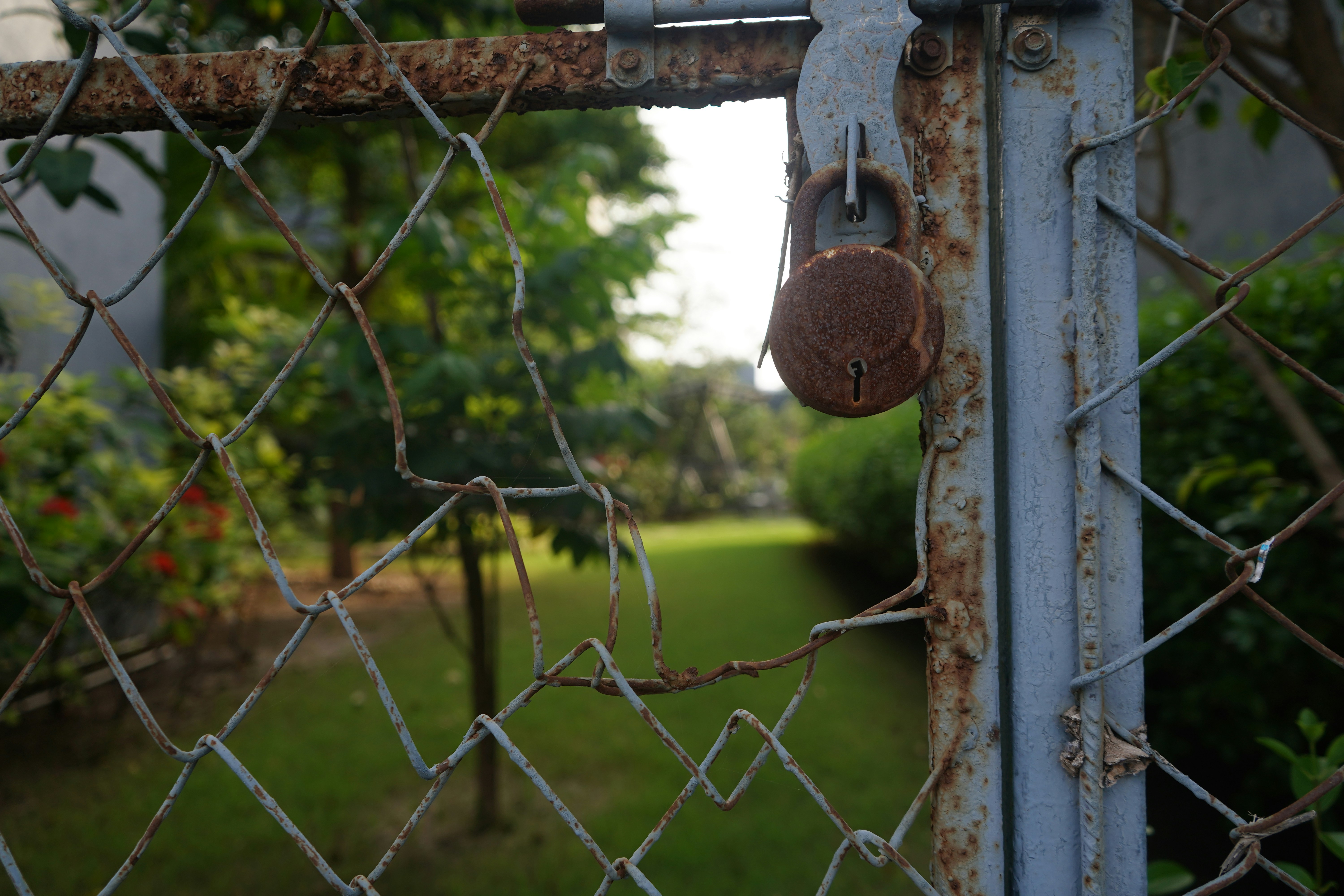 Rusty Gate, Quiet Garden Beyond