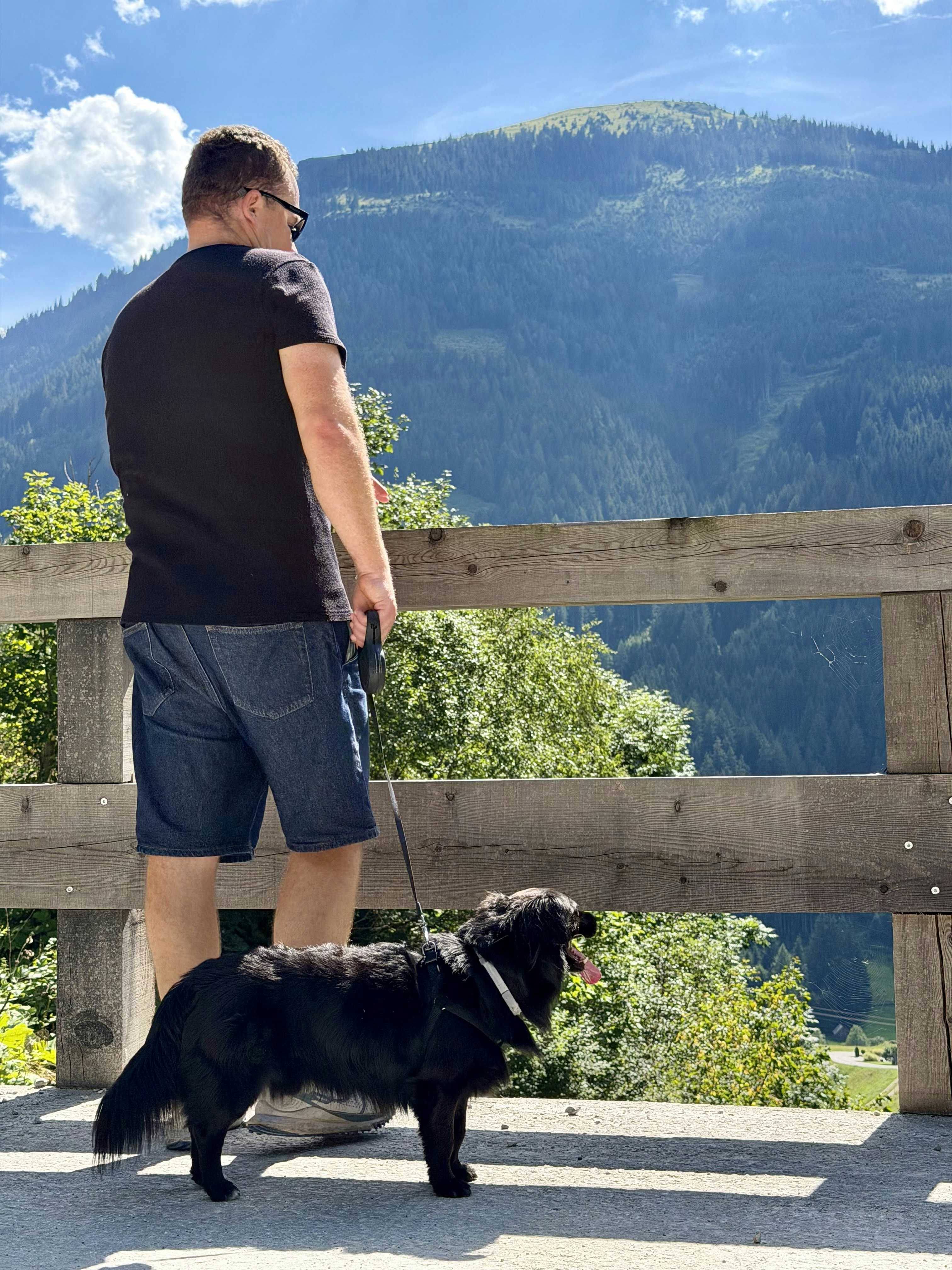 Clifftop Stroll: A Man and His Dog Overlook a Alpine Valley
