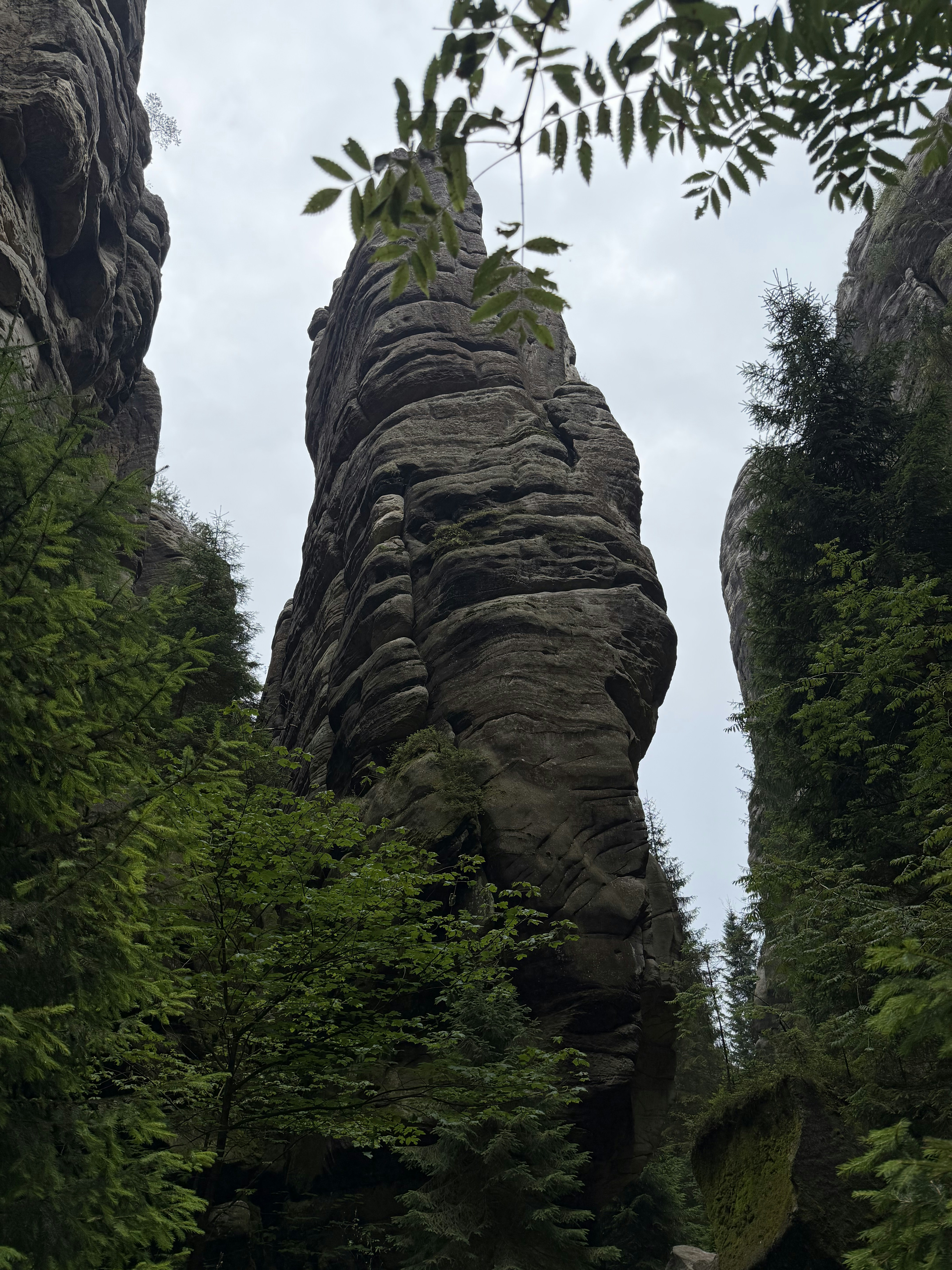 Stone Sentinel: A Towering Rock Spire Crowned by Foliage