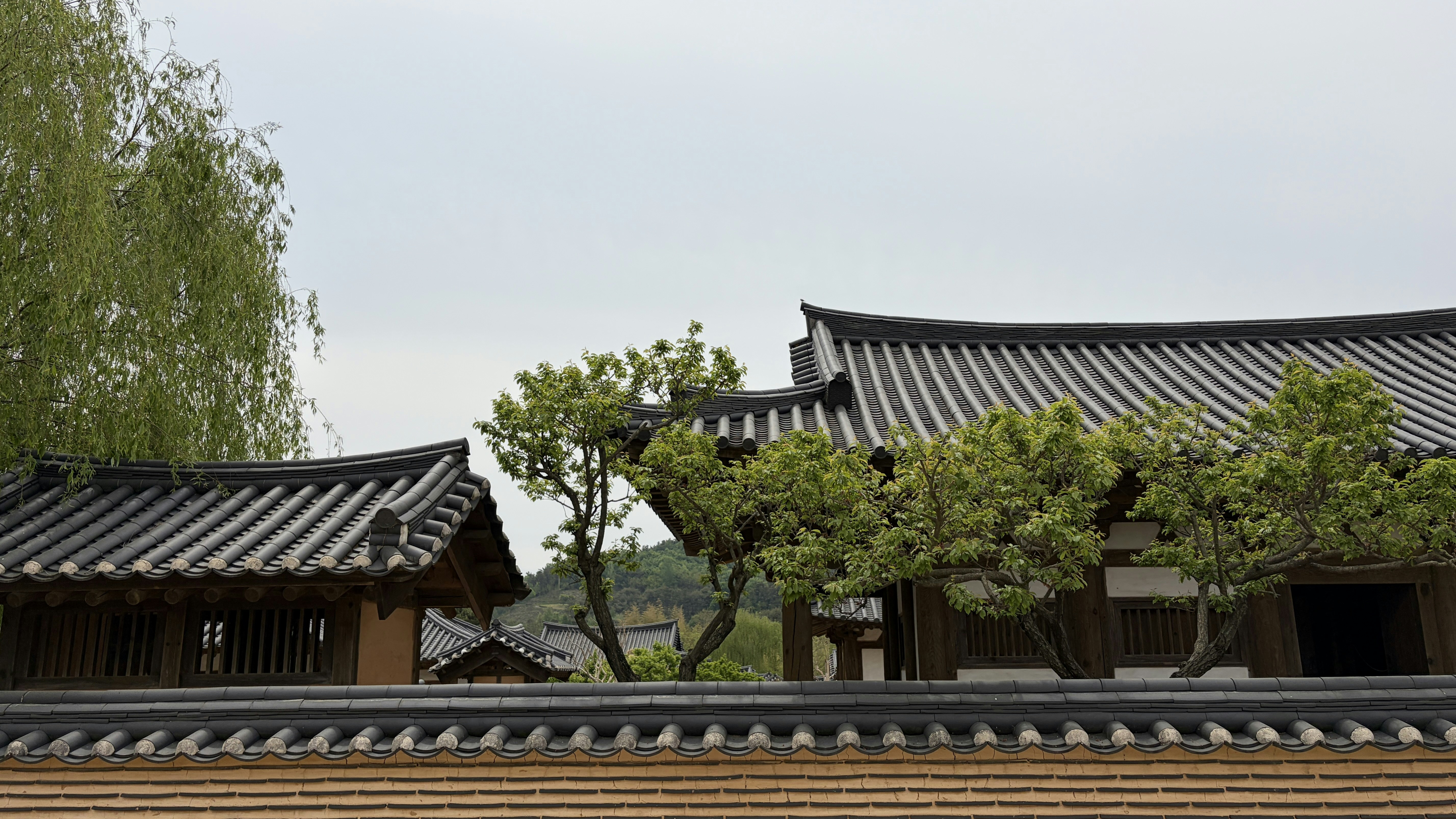 Hushed harmony of traditional rooftops under a pale sky