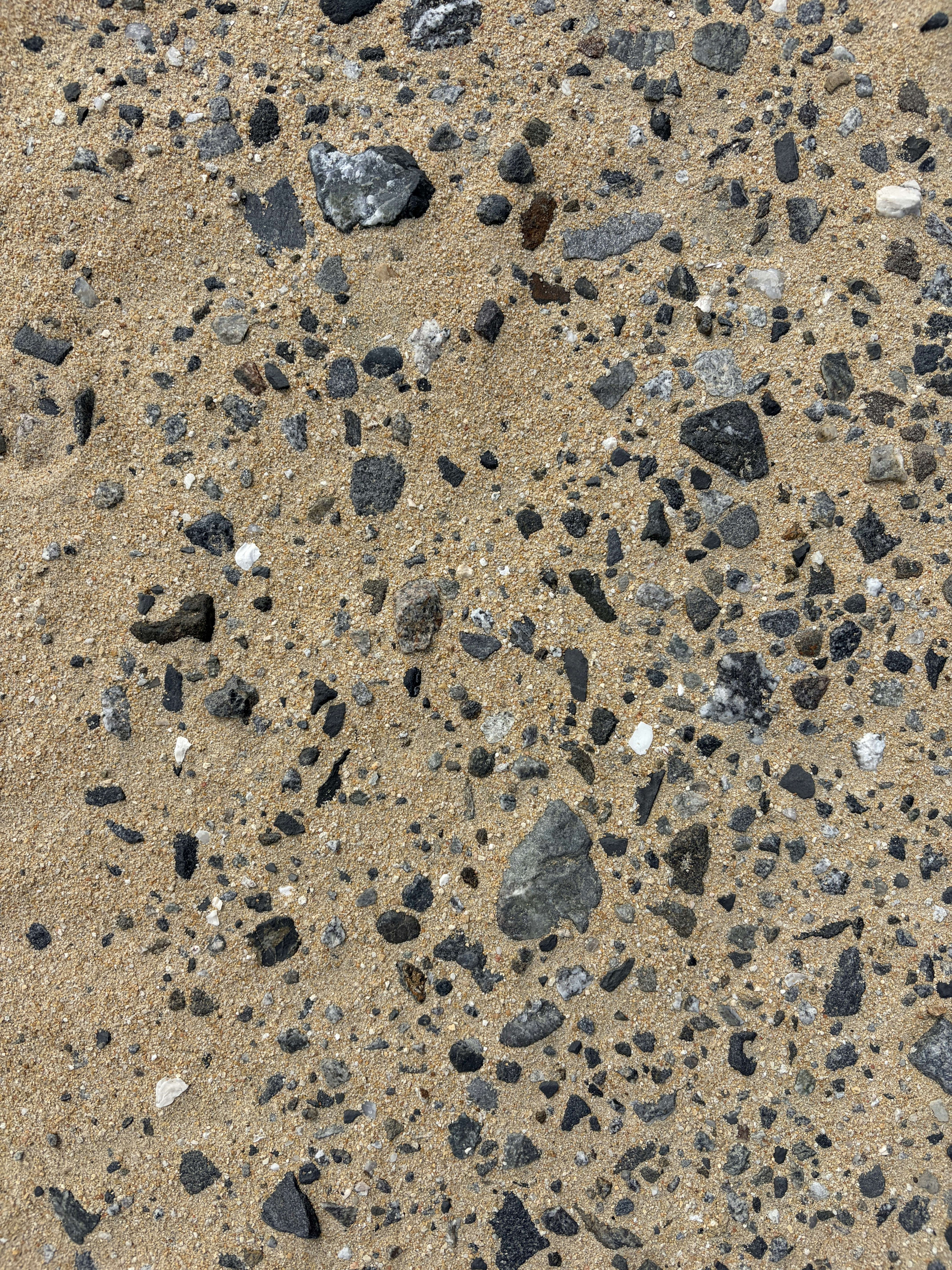 Pebble Mosaic on Sunlit Concrete
