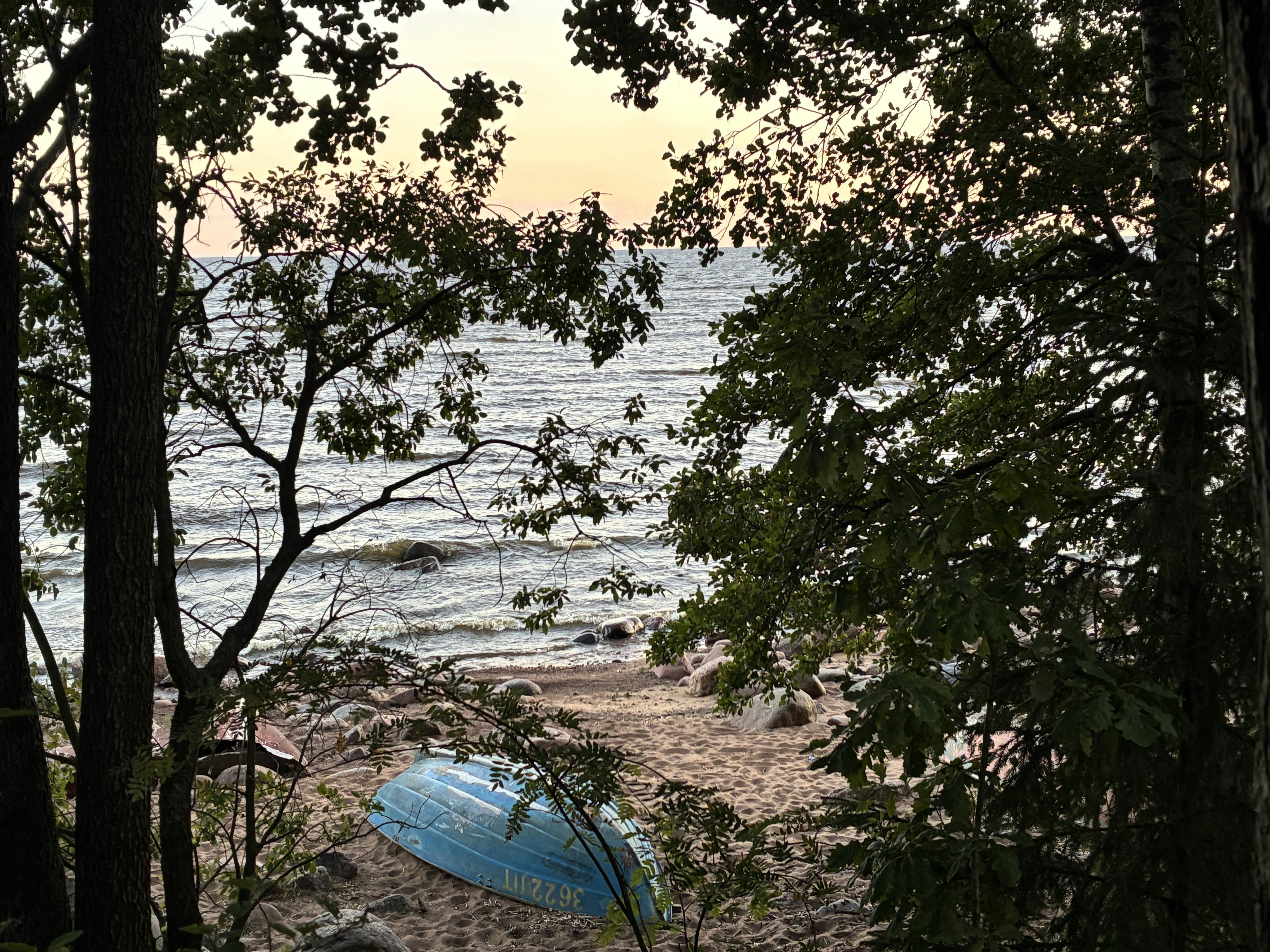 Hidden Beachfront Escape: Boat Resting in the Pines