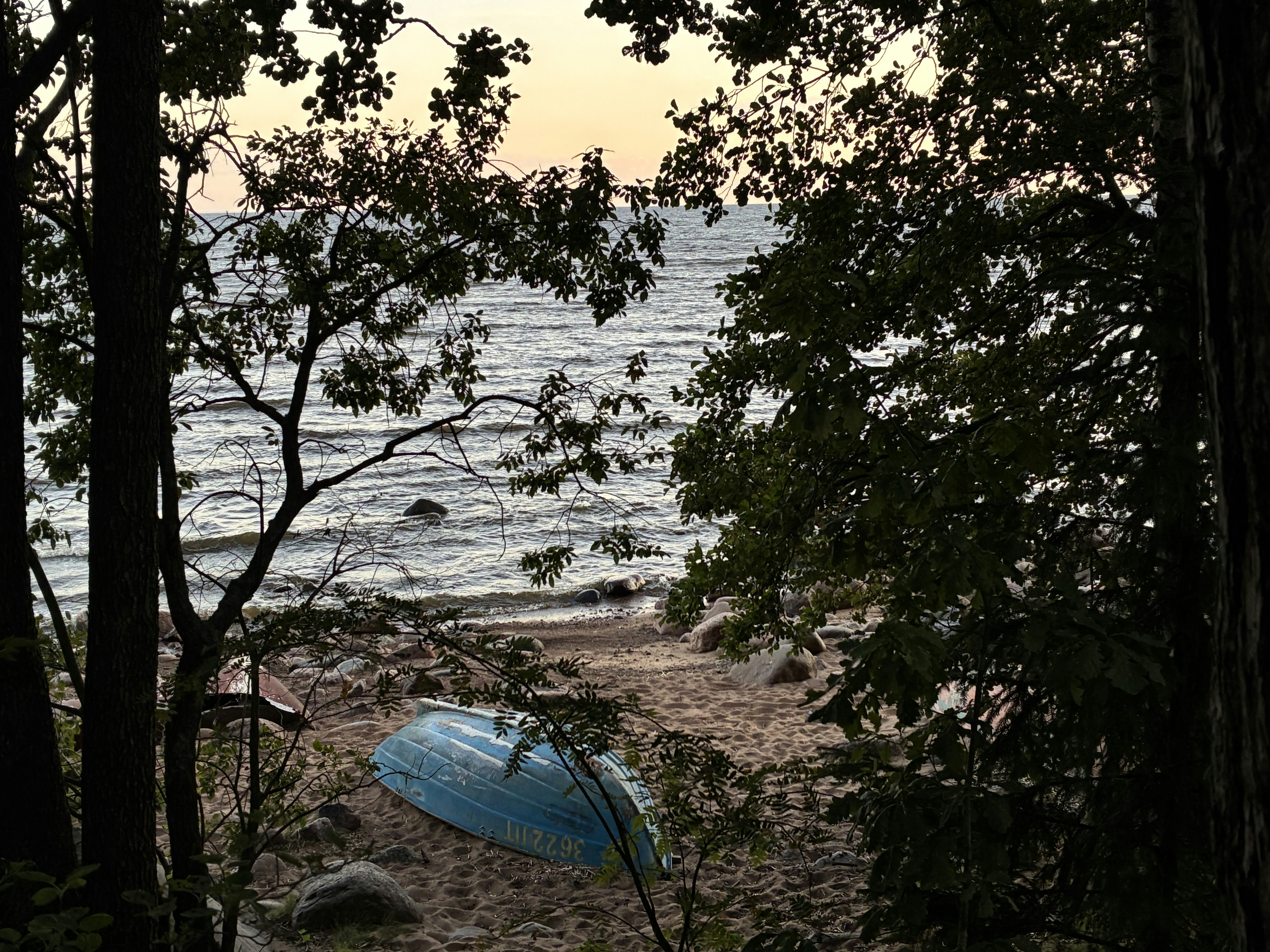 Blue boat at the shoreline framed by forest silhouettes