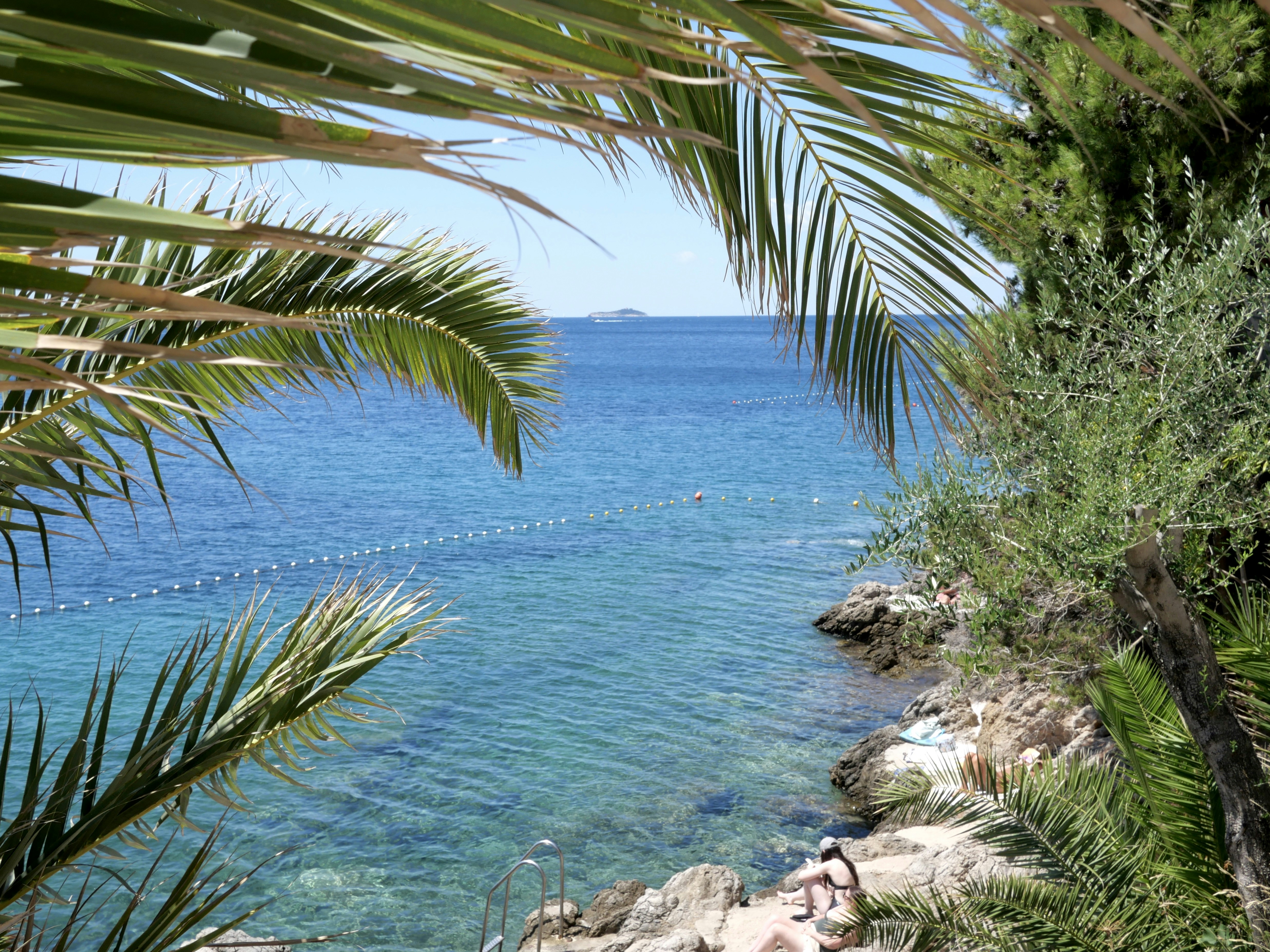 Sunlit Cove Between Fronds: A Quiet Seaside View