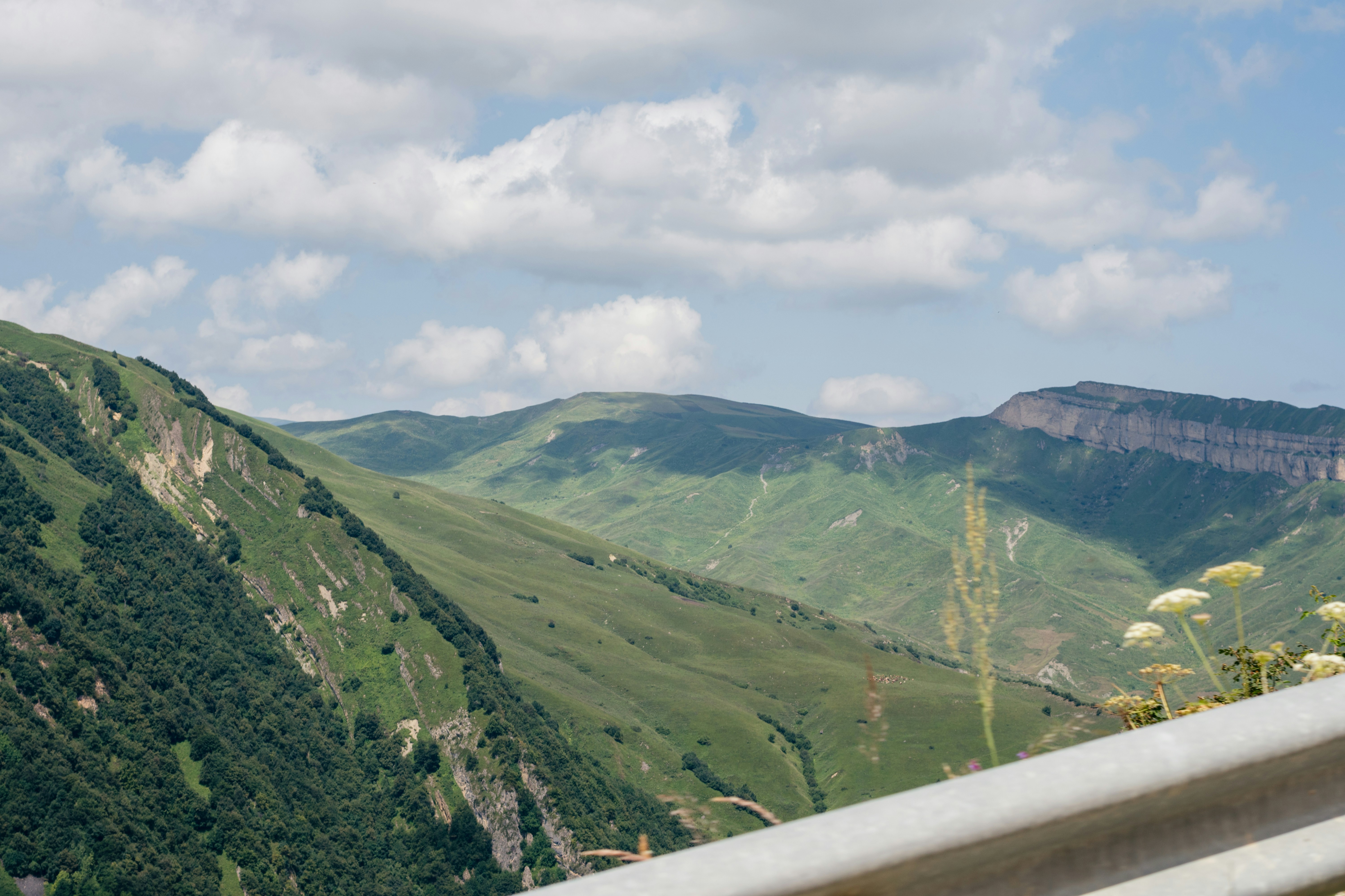 Ridge Line Overlook: Rolling Green Valleys Beyond a Guardrail