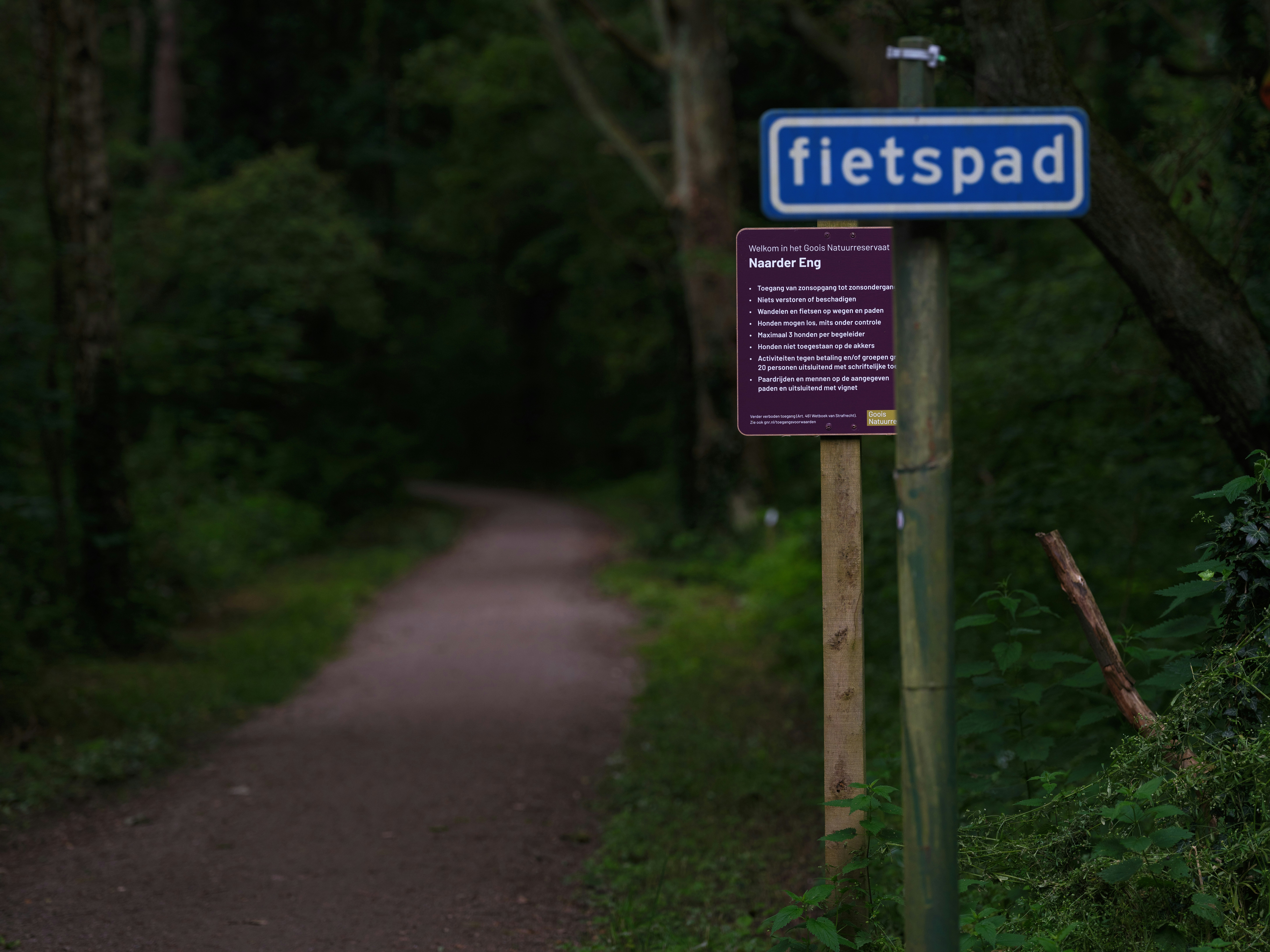 Trail Signpost by the Quiet Woods
