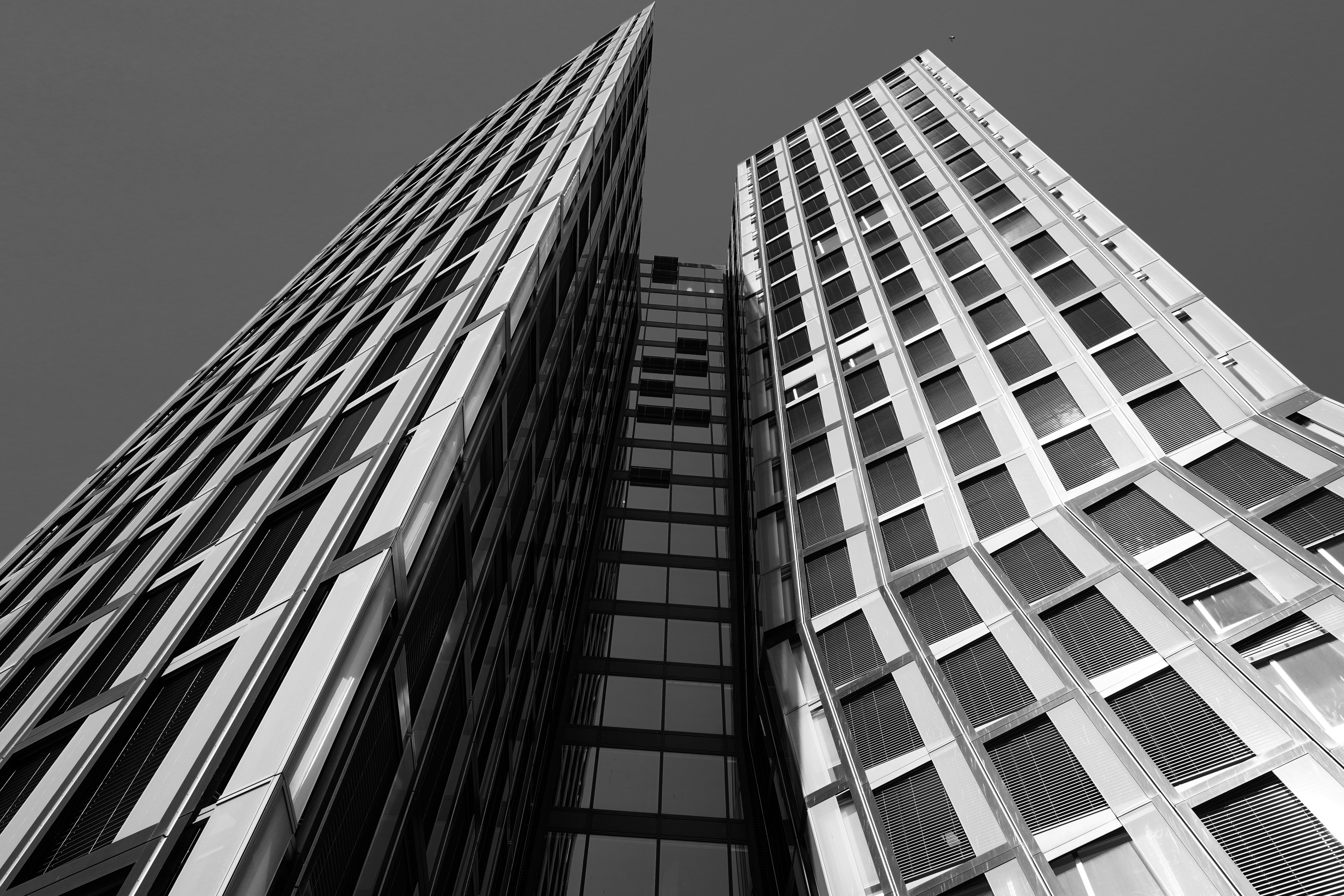 Towards the Sky: Twin Glass Towers Soar in Monochrome Ascent