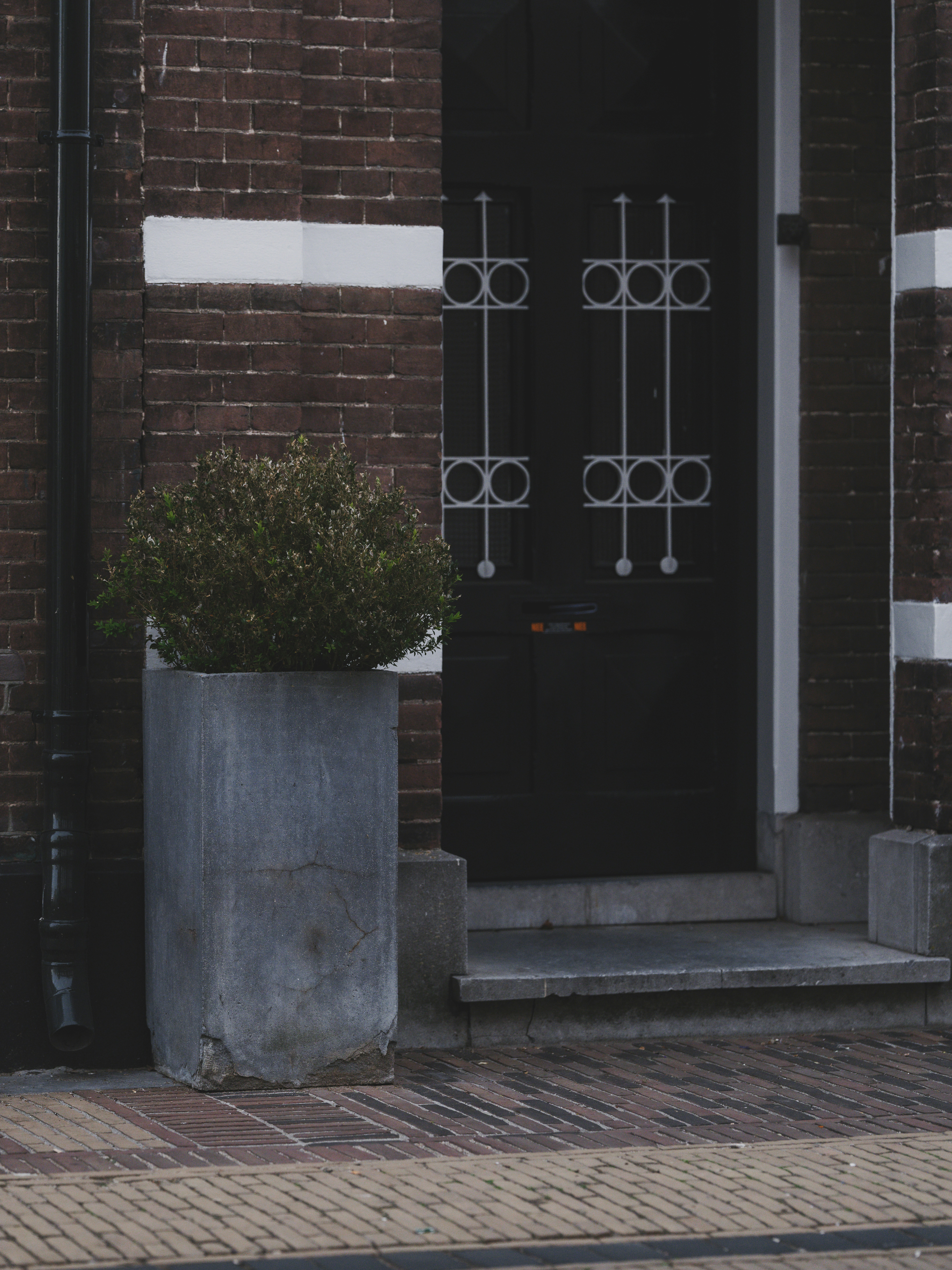 Urban Gateway: A Quiet Doorway Framed by Brick and Plant