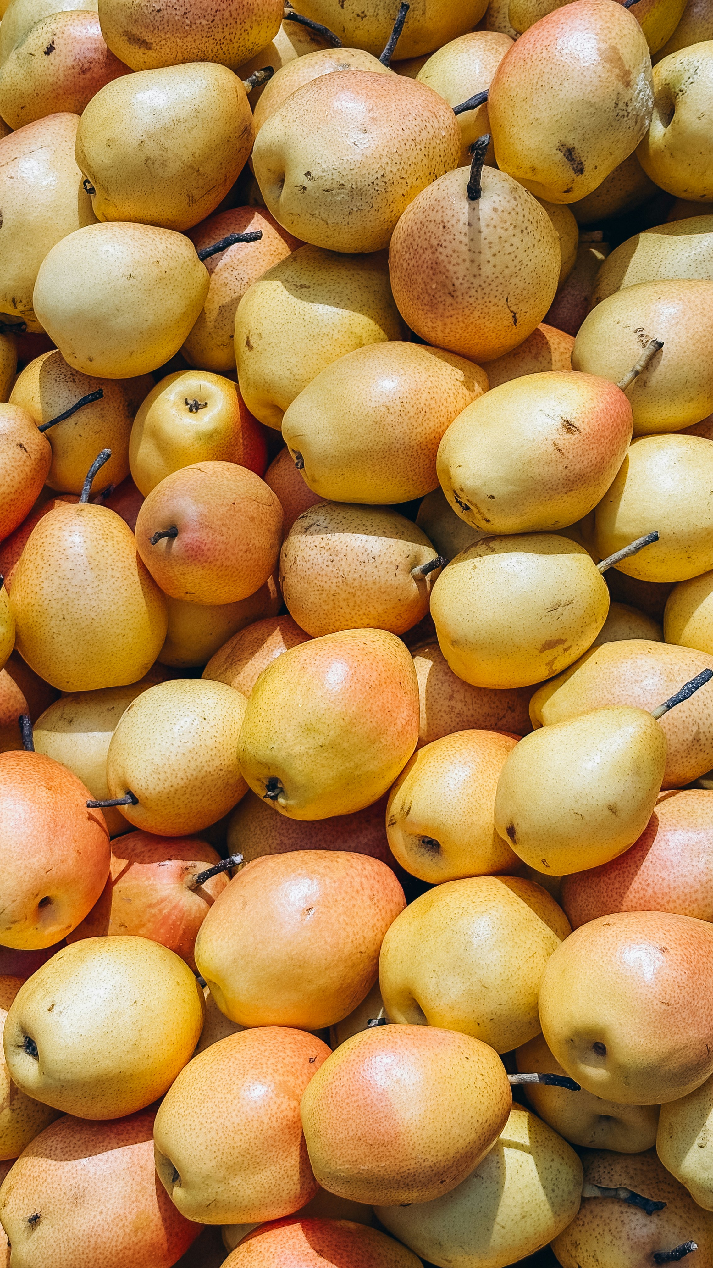 A dense pile of ripe pears with warm yellow-orange tones fills the frame, emphasizing their smooth skins and subtle speckling.