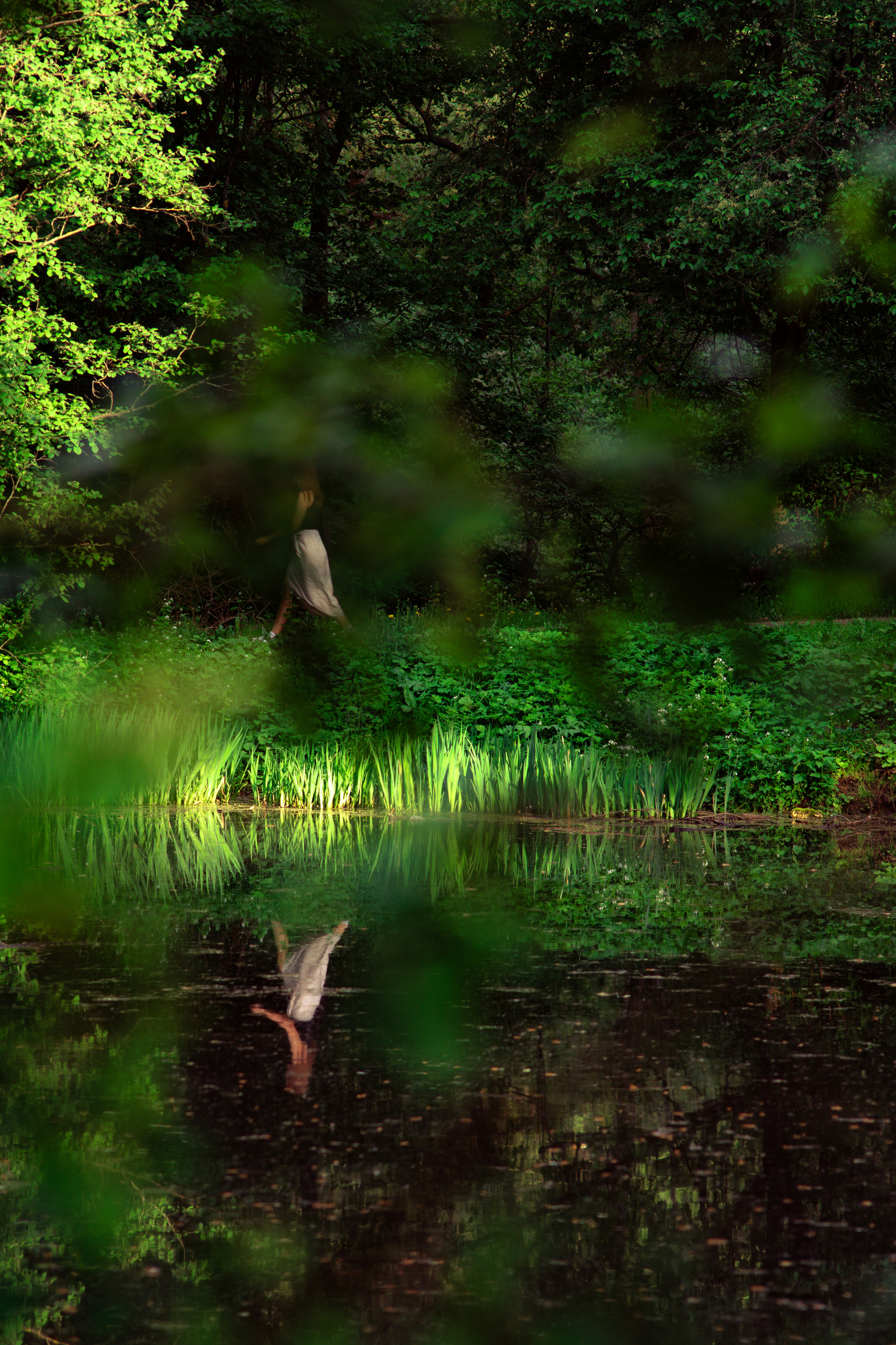 Quiet Bankside Gaze