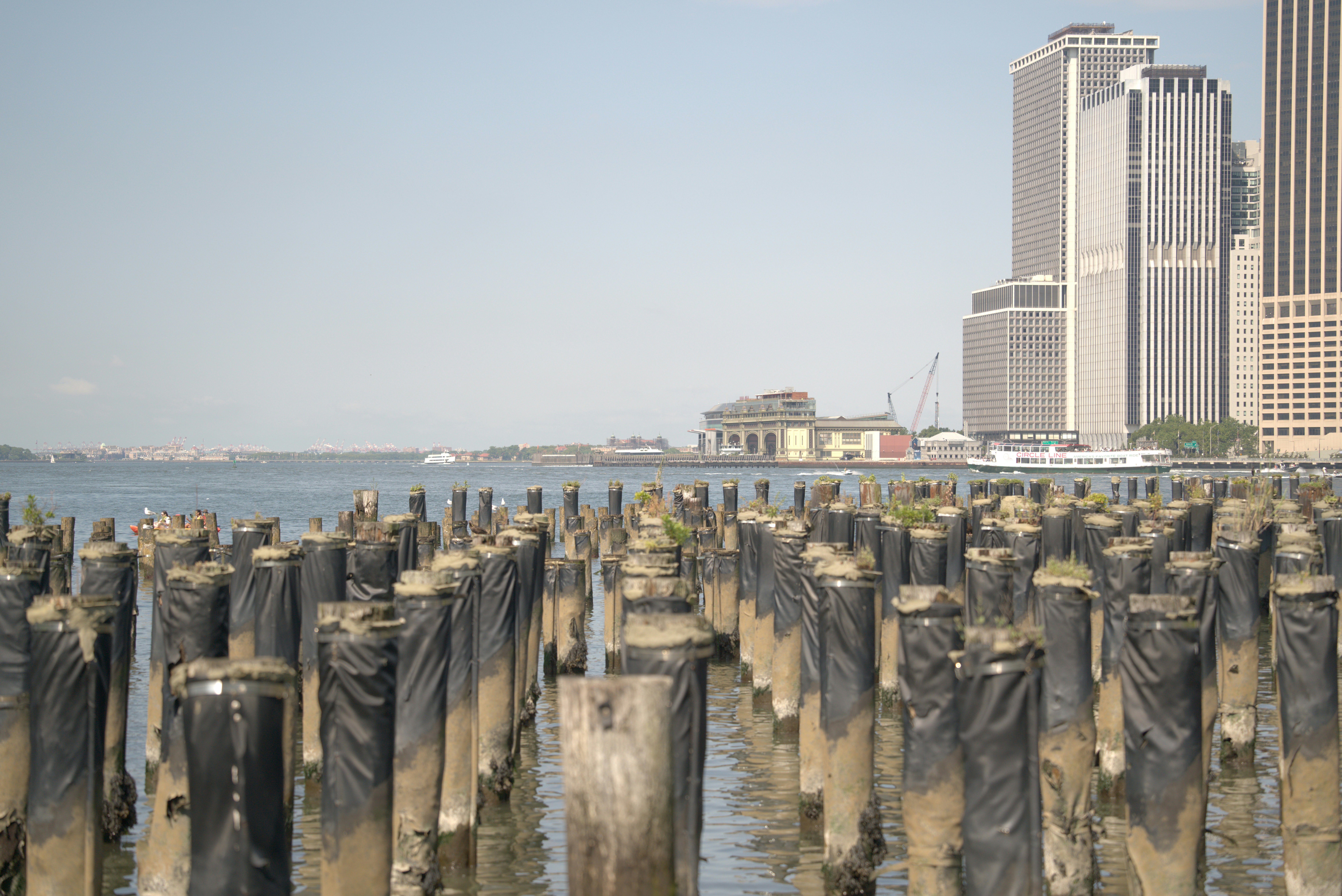 Harbor Columns Grow From Calm Shore toward a Cityscape