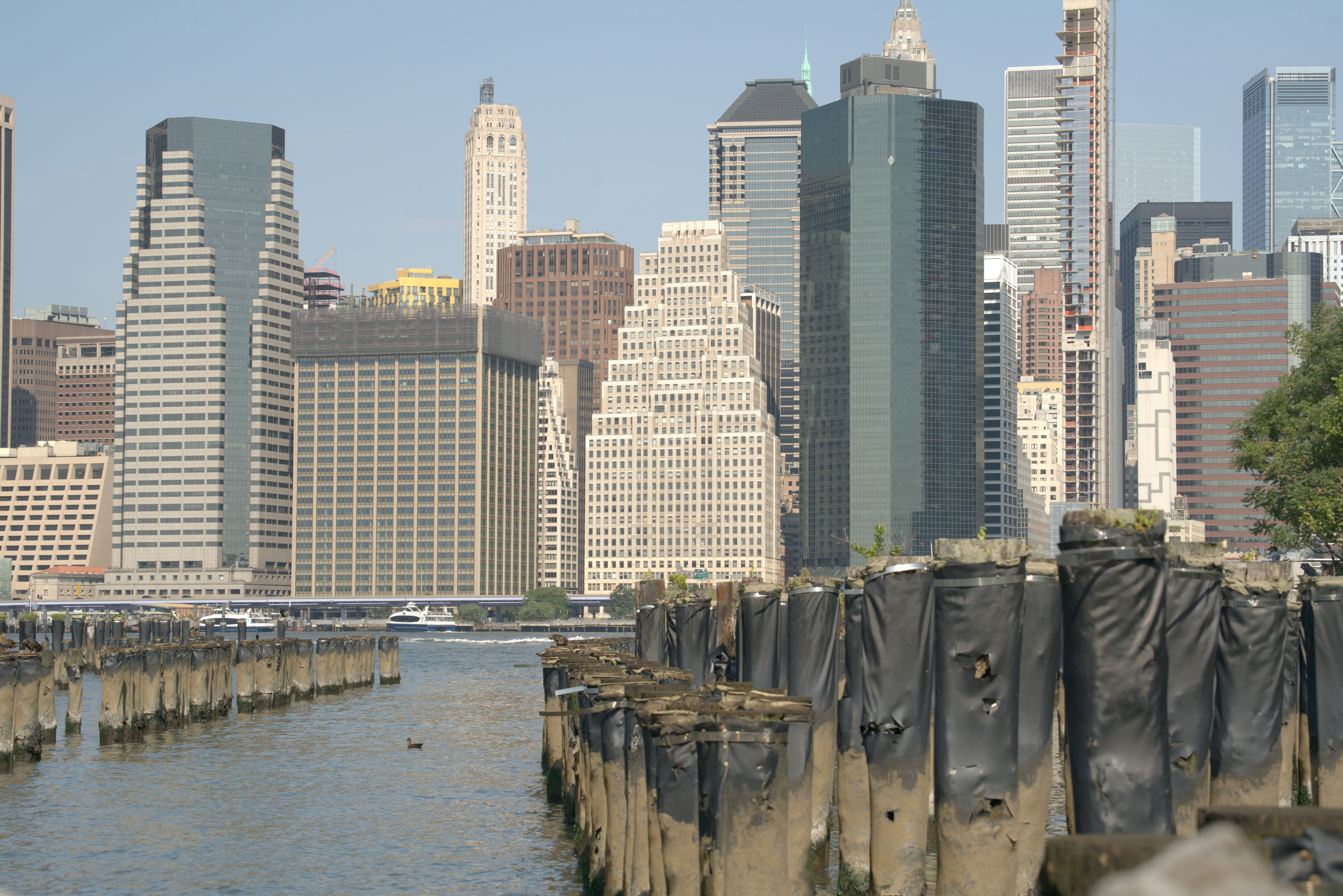Riverside Skyline: The City Rising Beyond Timber Barriers