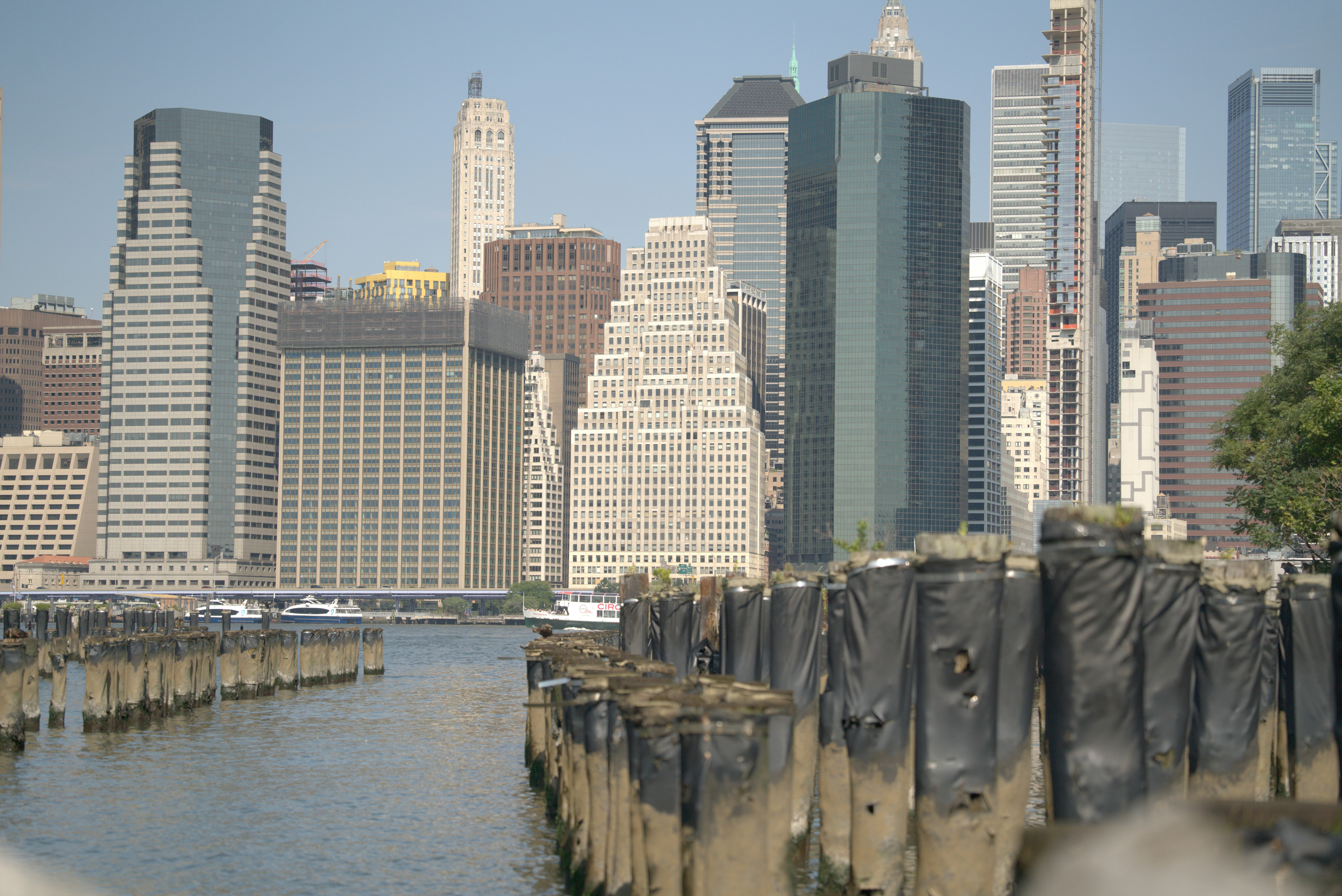 City Edge: Concrete Giants Behind a Calm Waterfront