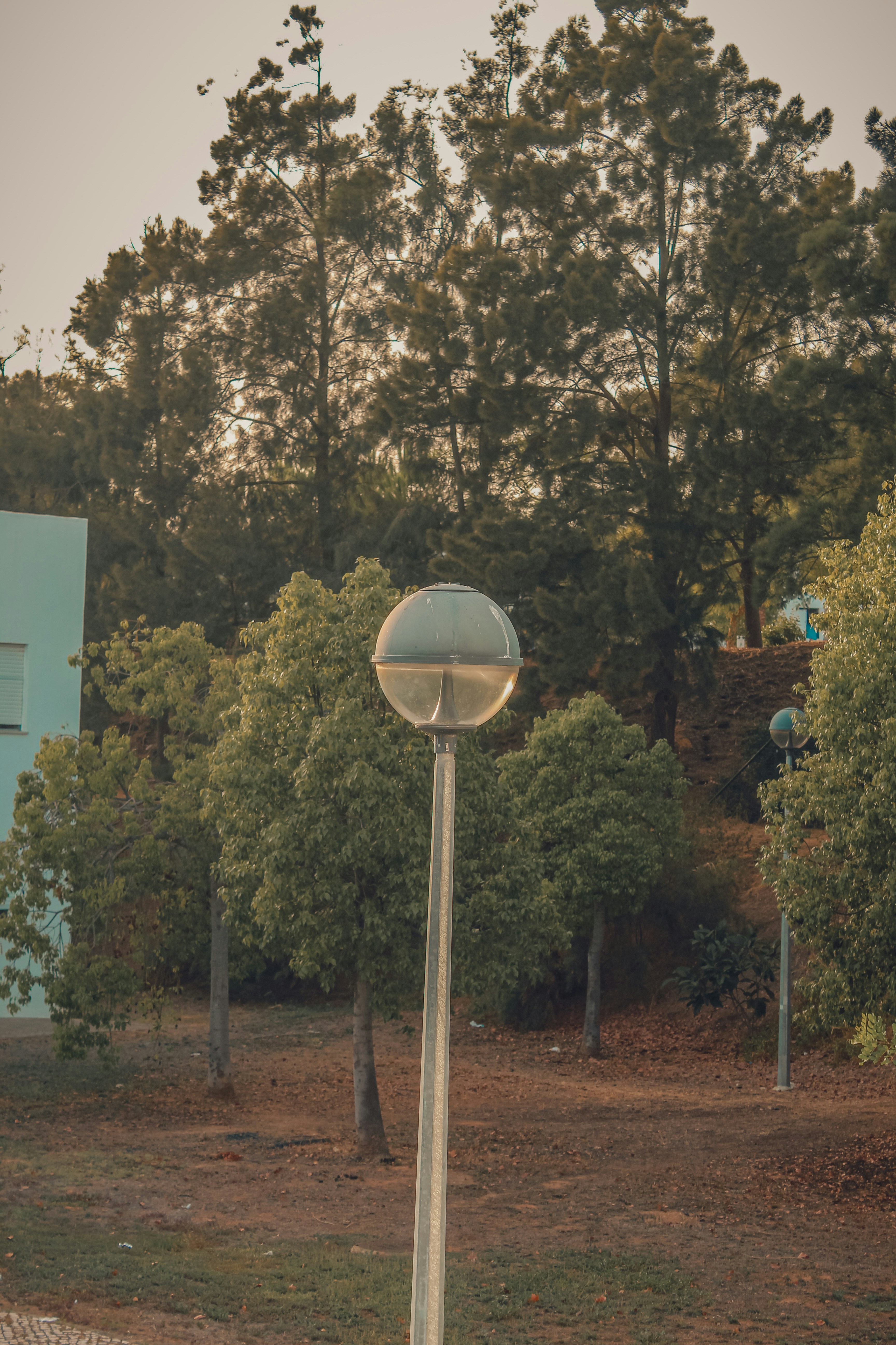 Glow on a Quiet Campus Path