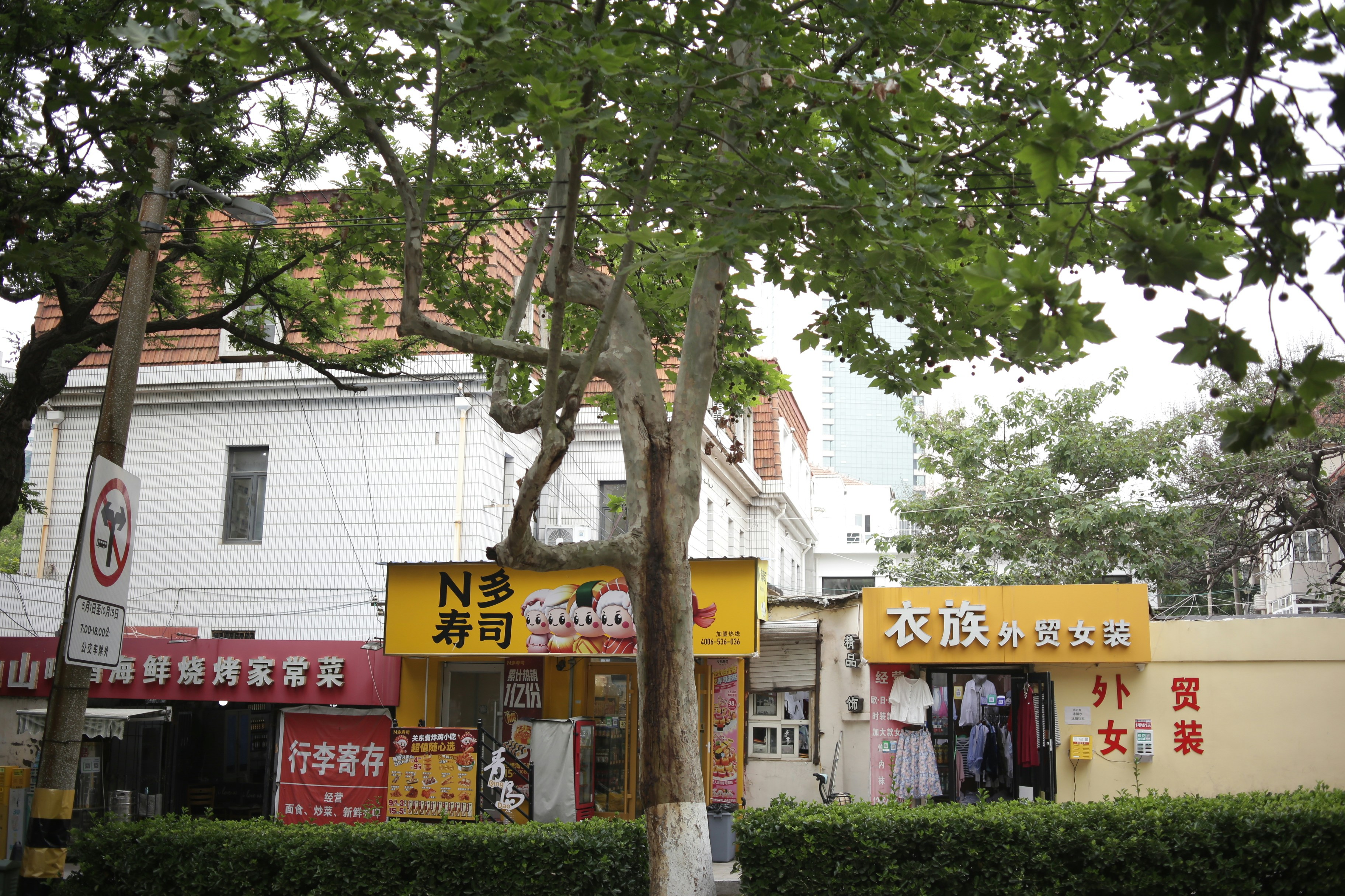 Shopfronts Beneath Canopy of Urban Trees