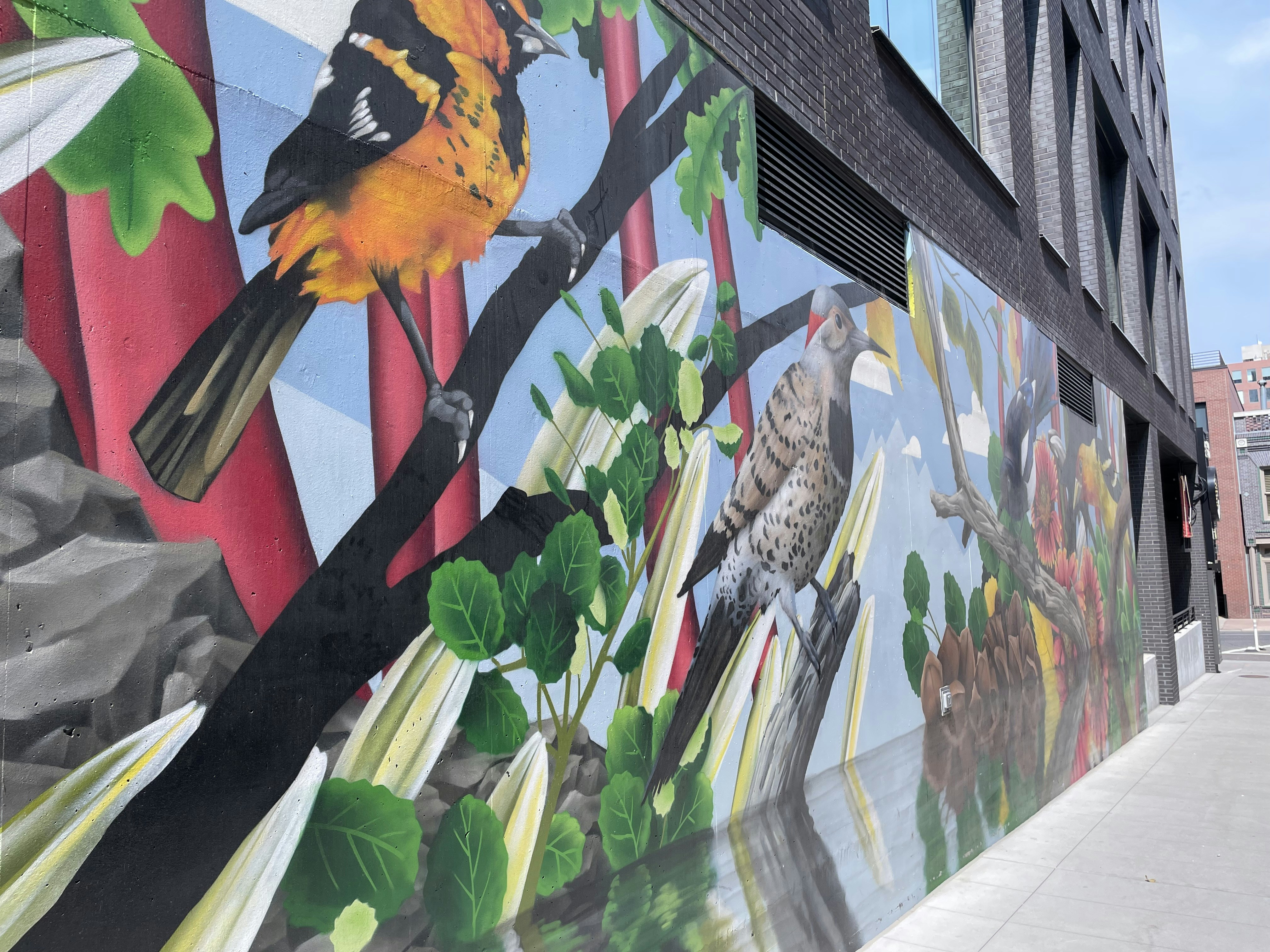 Vibrant Bird Mosaic: A Long Wall of Painted Avifauna