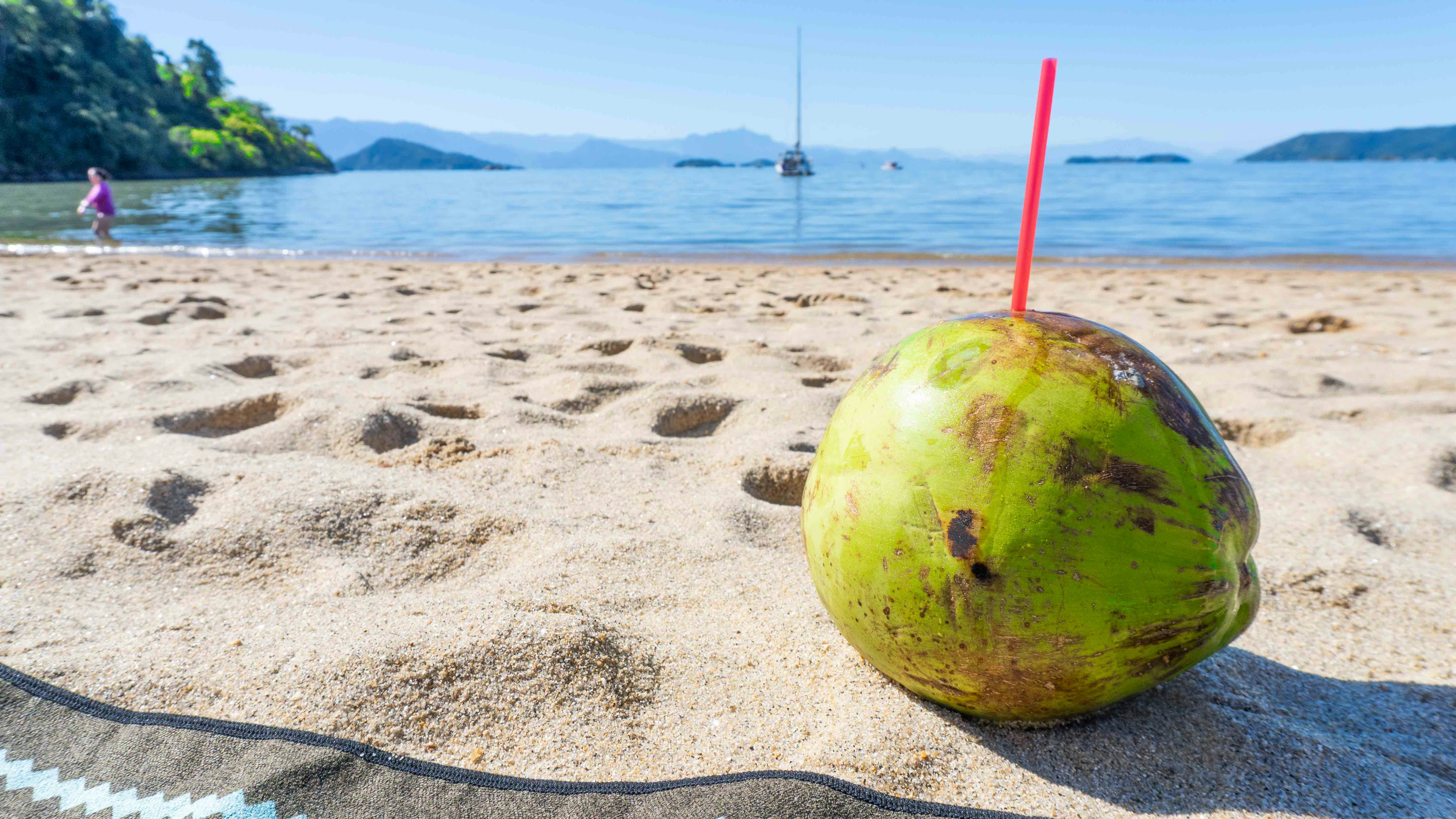 Coconut on the Sand: A Sunlit Beach Moment by the Calm Sea