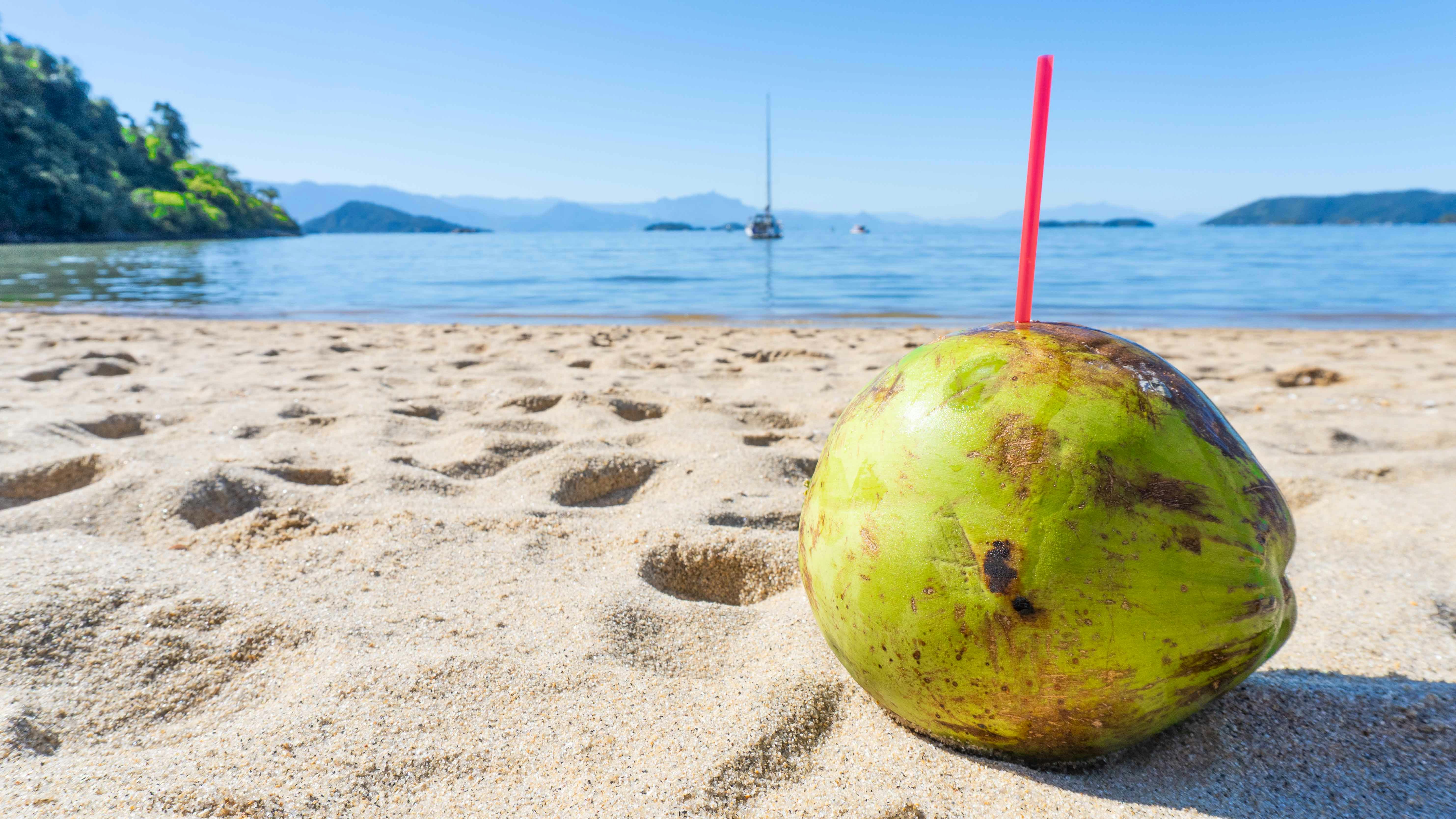Coconut on Sunlit Beach with Calm Sea and Distant Boats