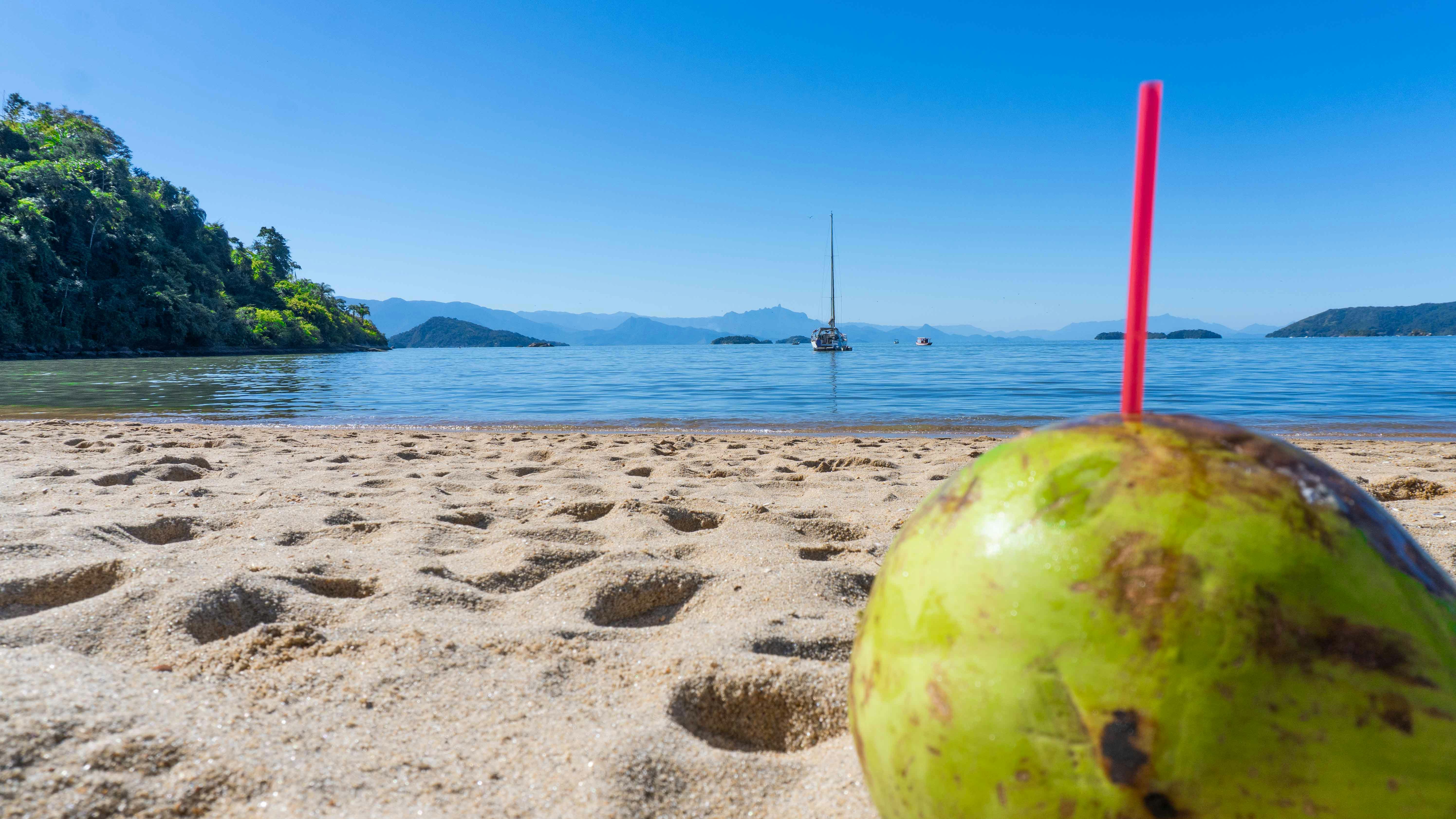 Coconut on the Beach: a Sunny Sailout with a Distant Sailboat