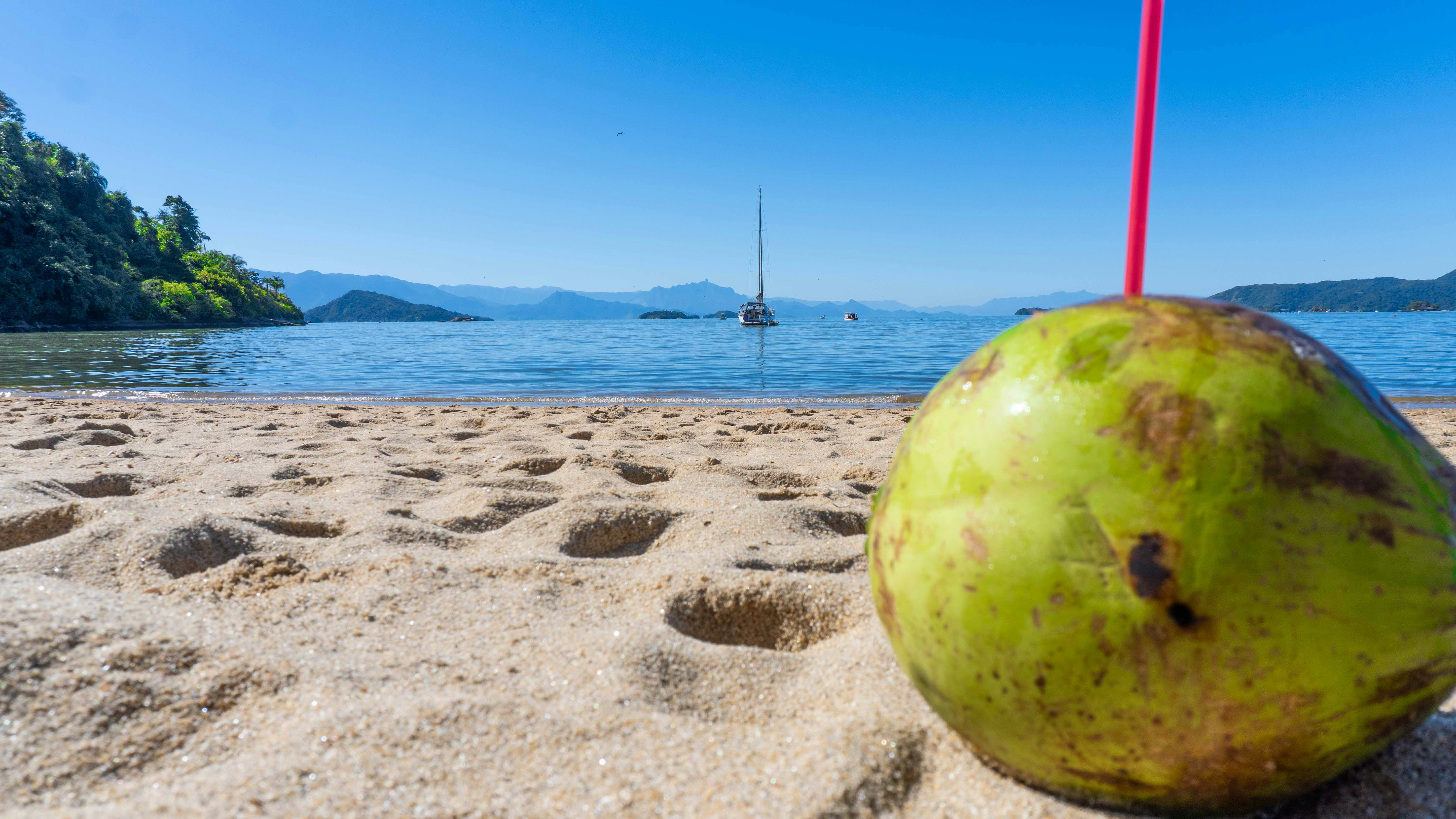 Coconut Frost on a Sunny Beach: A Quiet Seascape
