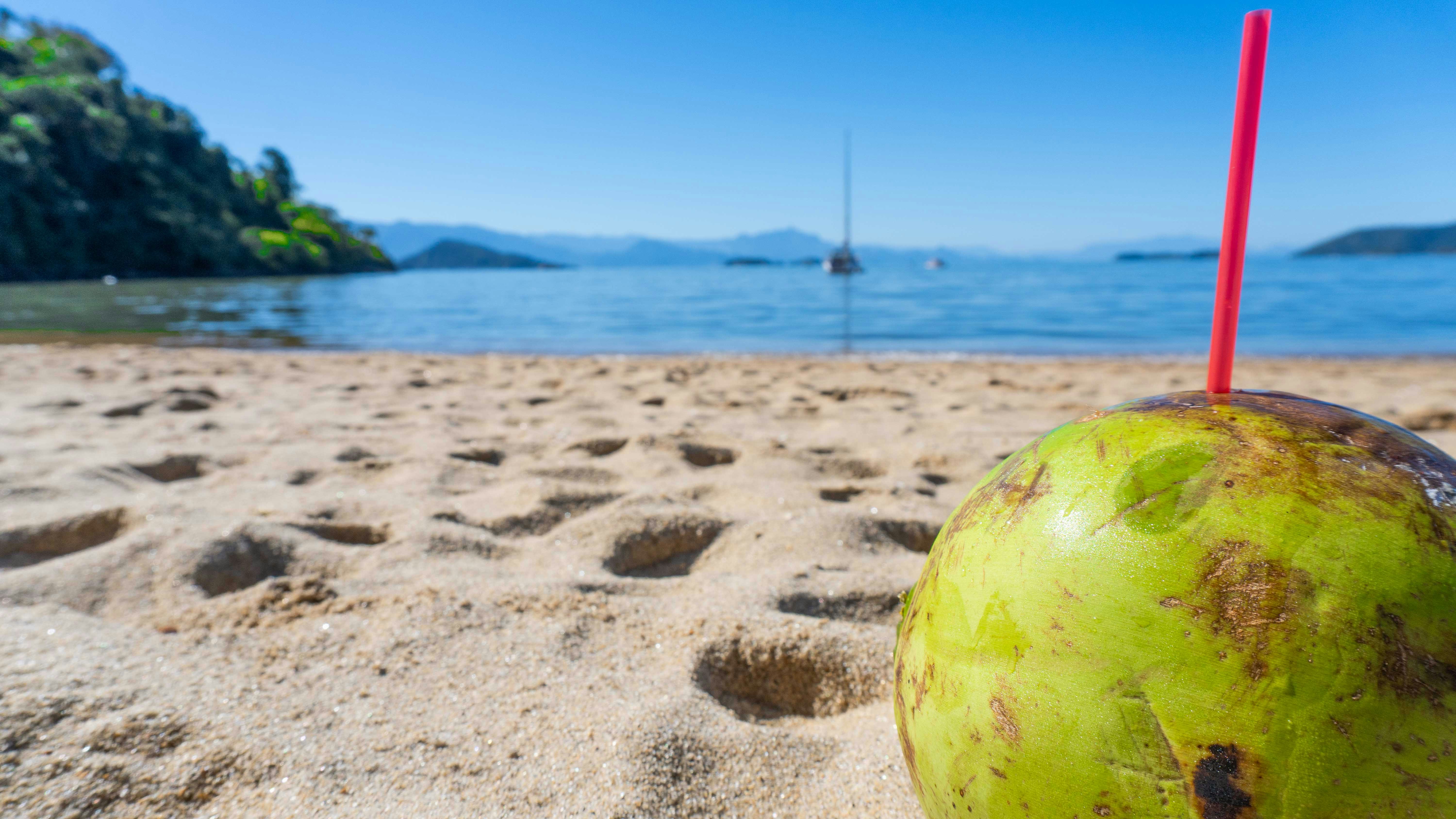 Coconut at the Shoreline: A Bright Sip by the Sea