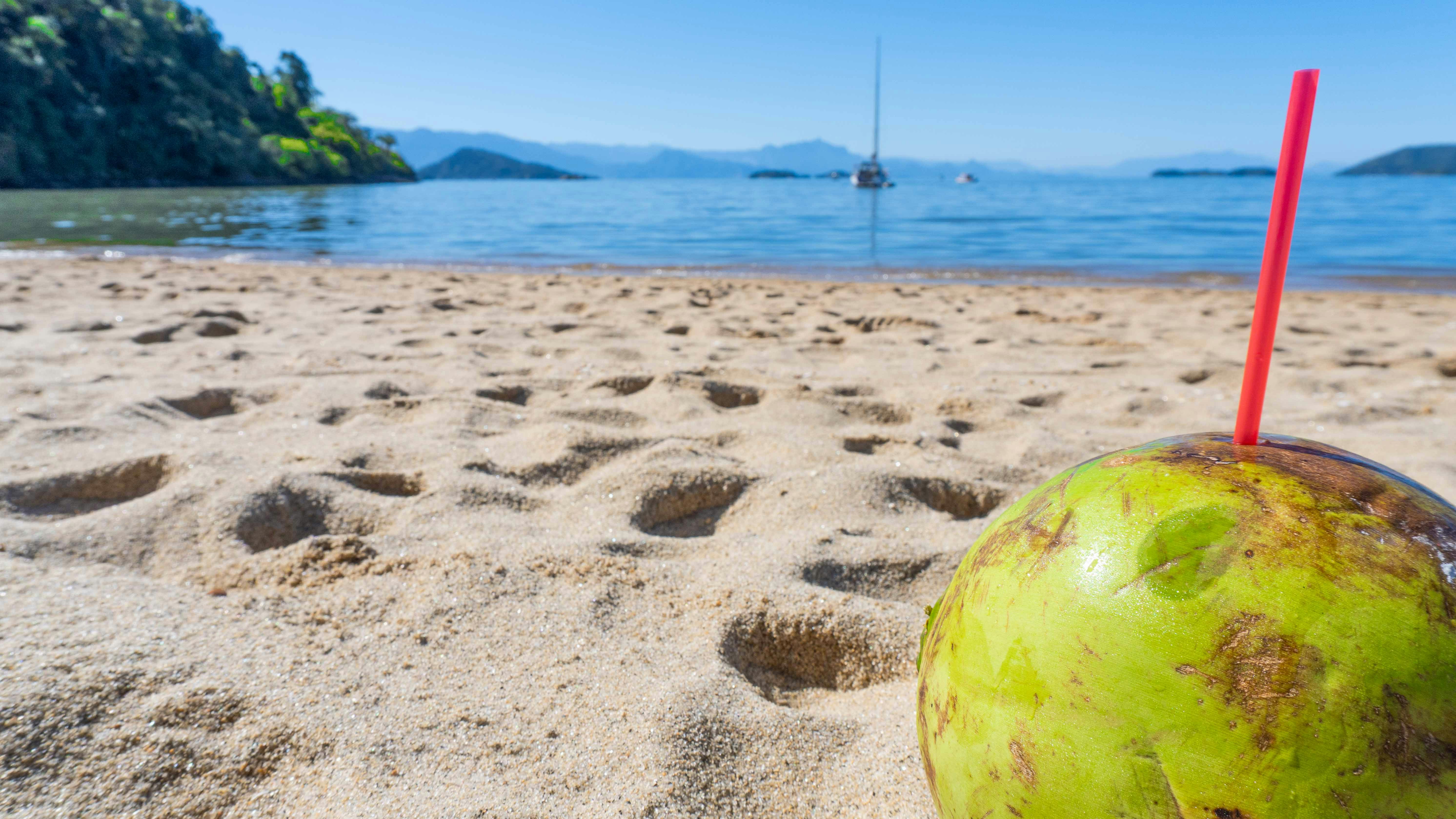 Sunlit Coconut on a Quiet Beach with Distant Sailboat