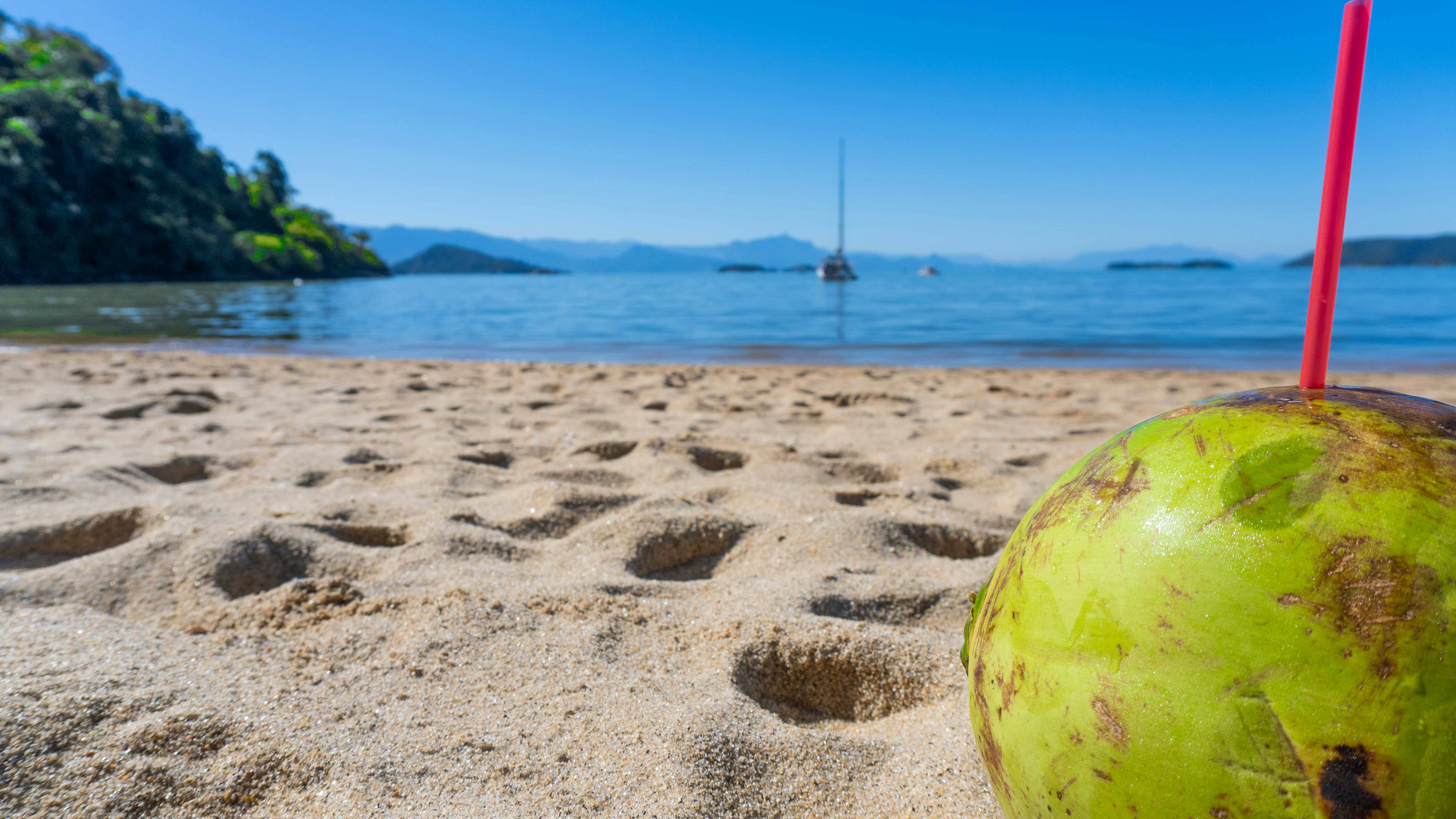 Coconut on the Shoreline: A Sunlit Beach with Distant Sailboats