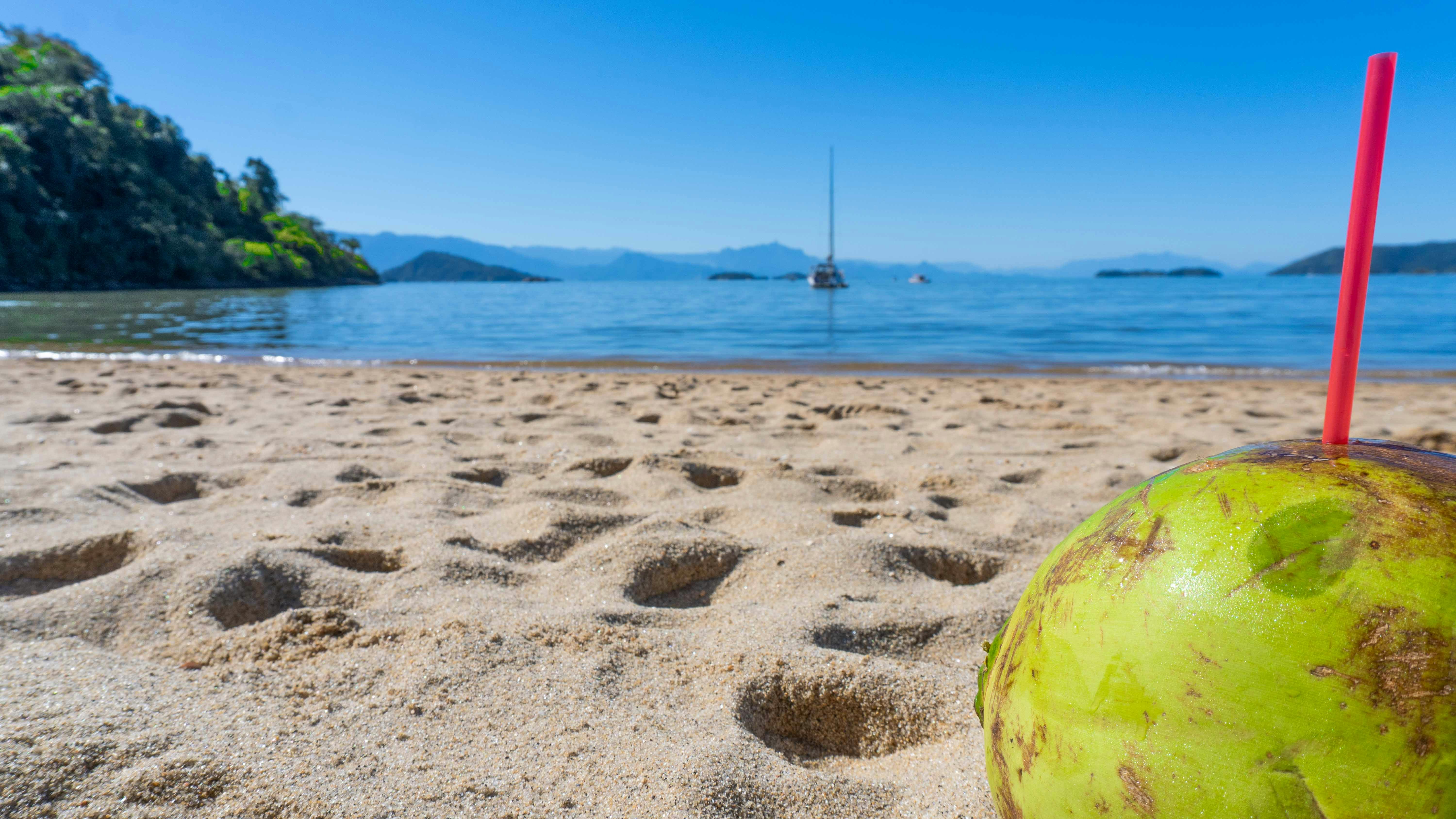 Coconut on the Shore: A Quiet Beach Moment by the Sea