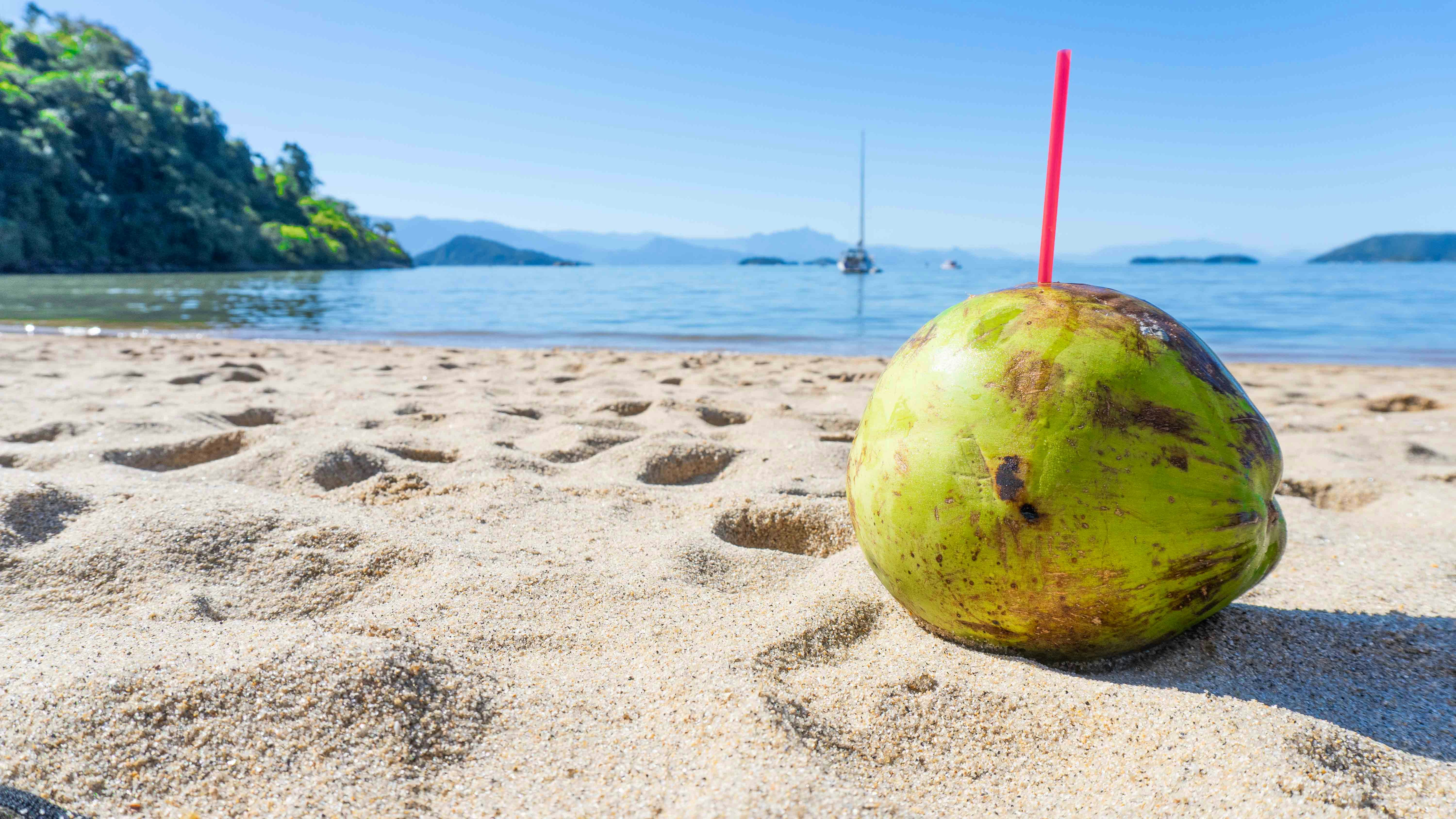 Beach Coconut Conundrum: A Solo Snack Anchored by Sea and Sky