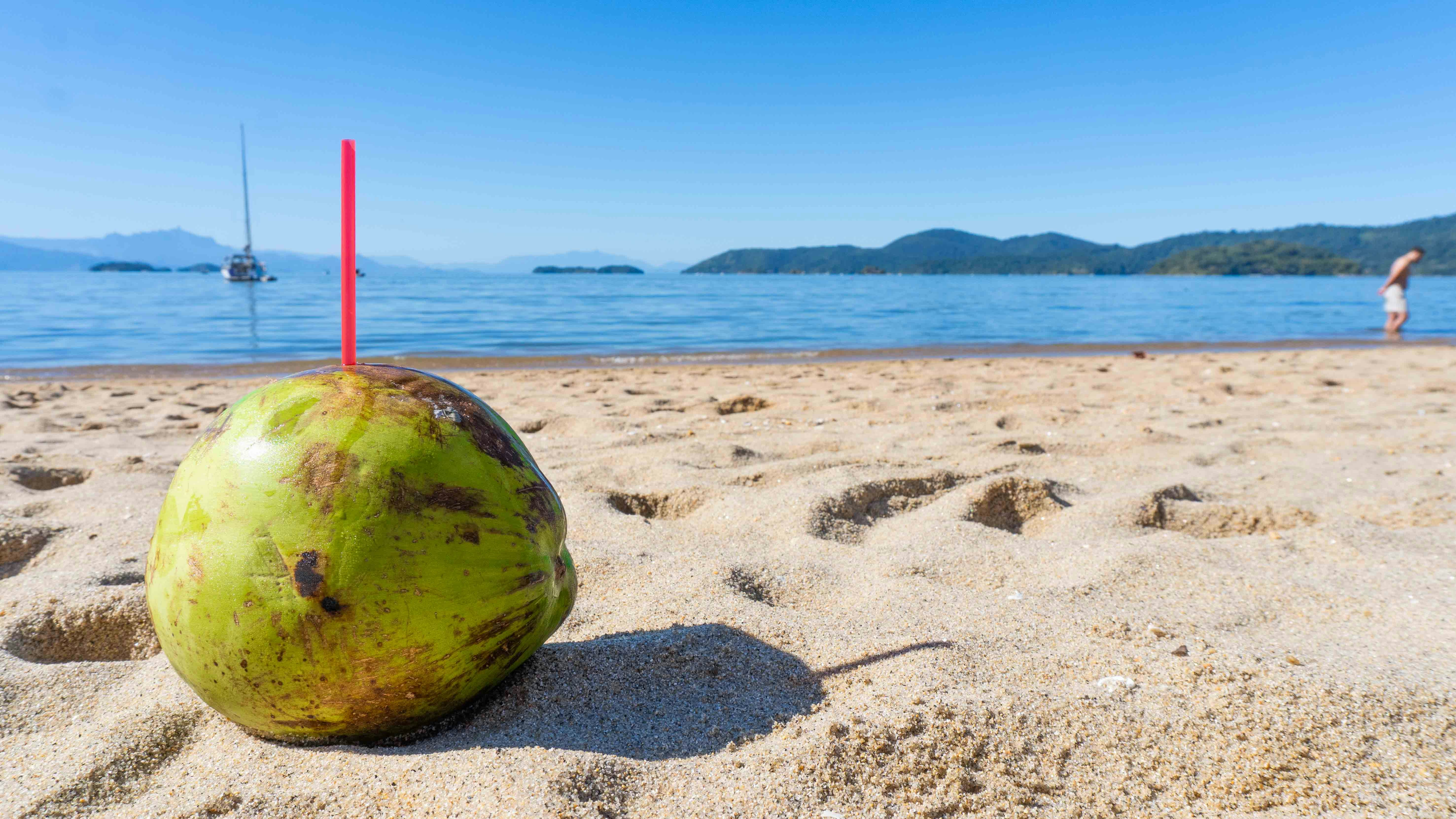 Coconut on the Quiet Shore