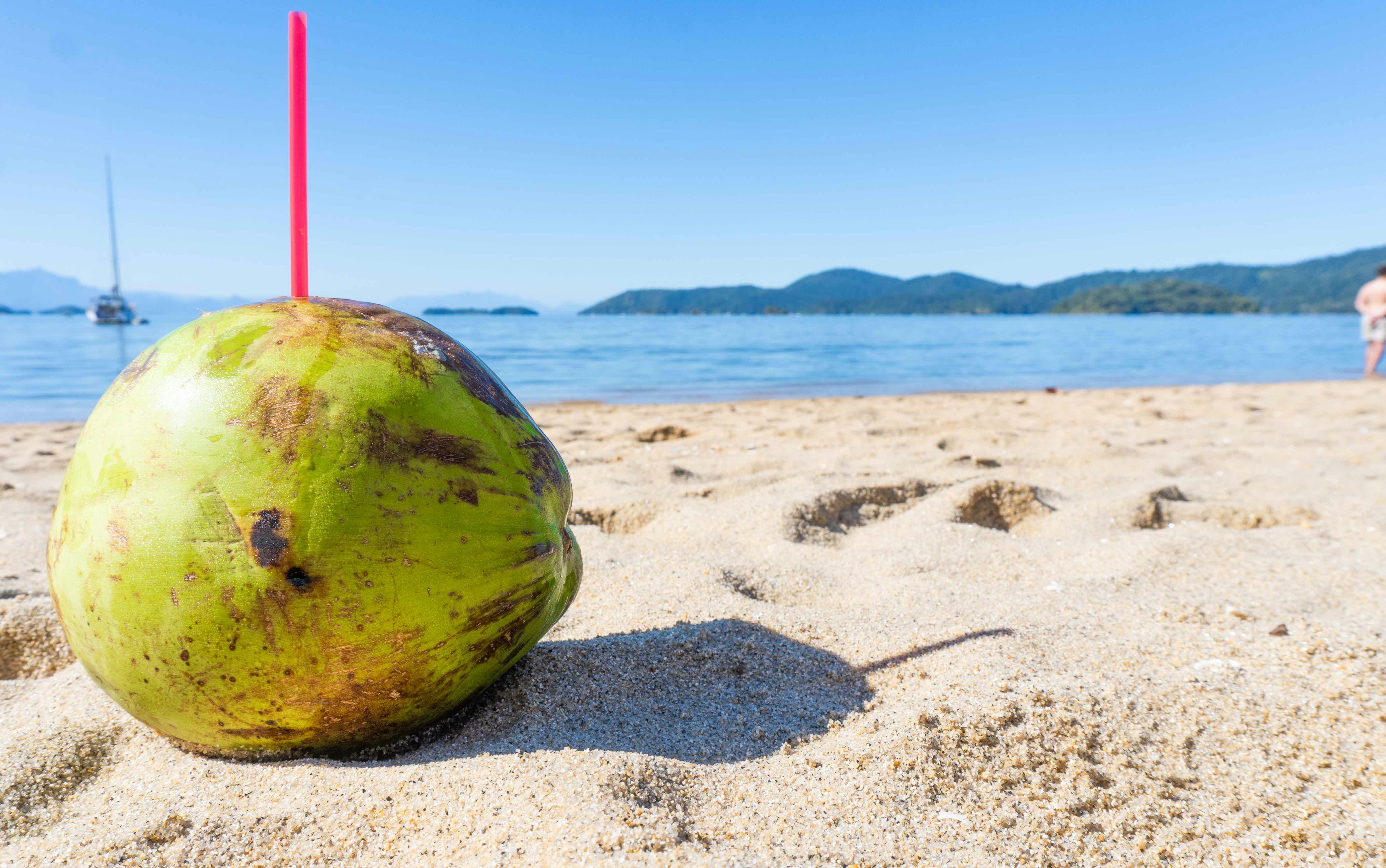 Coconut on a sunlit beach with distant hills and sailboats