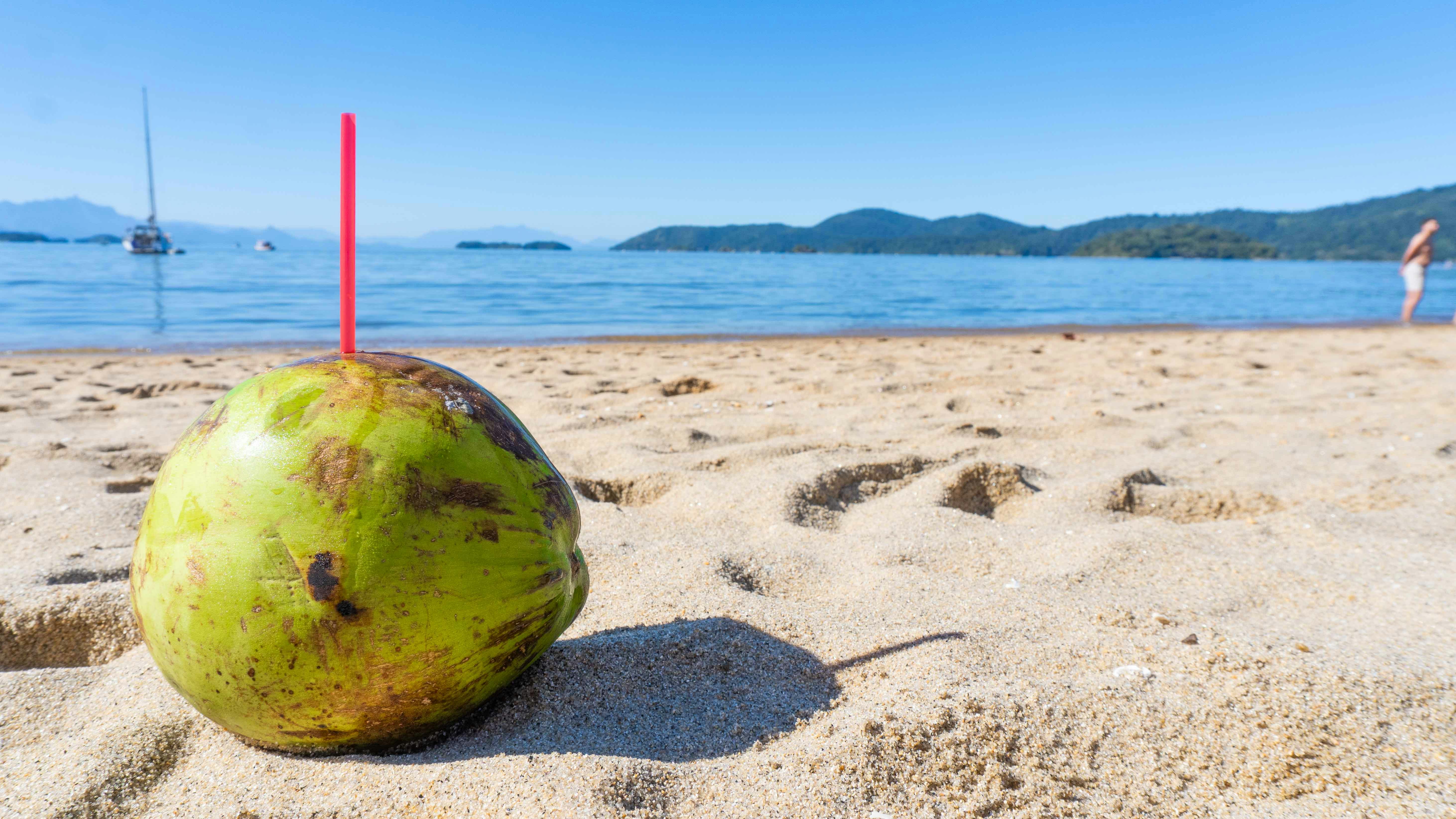 Coconut on the Coasting Beach with Distant Sailboats
