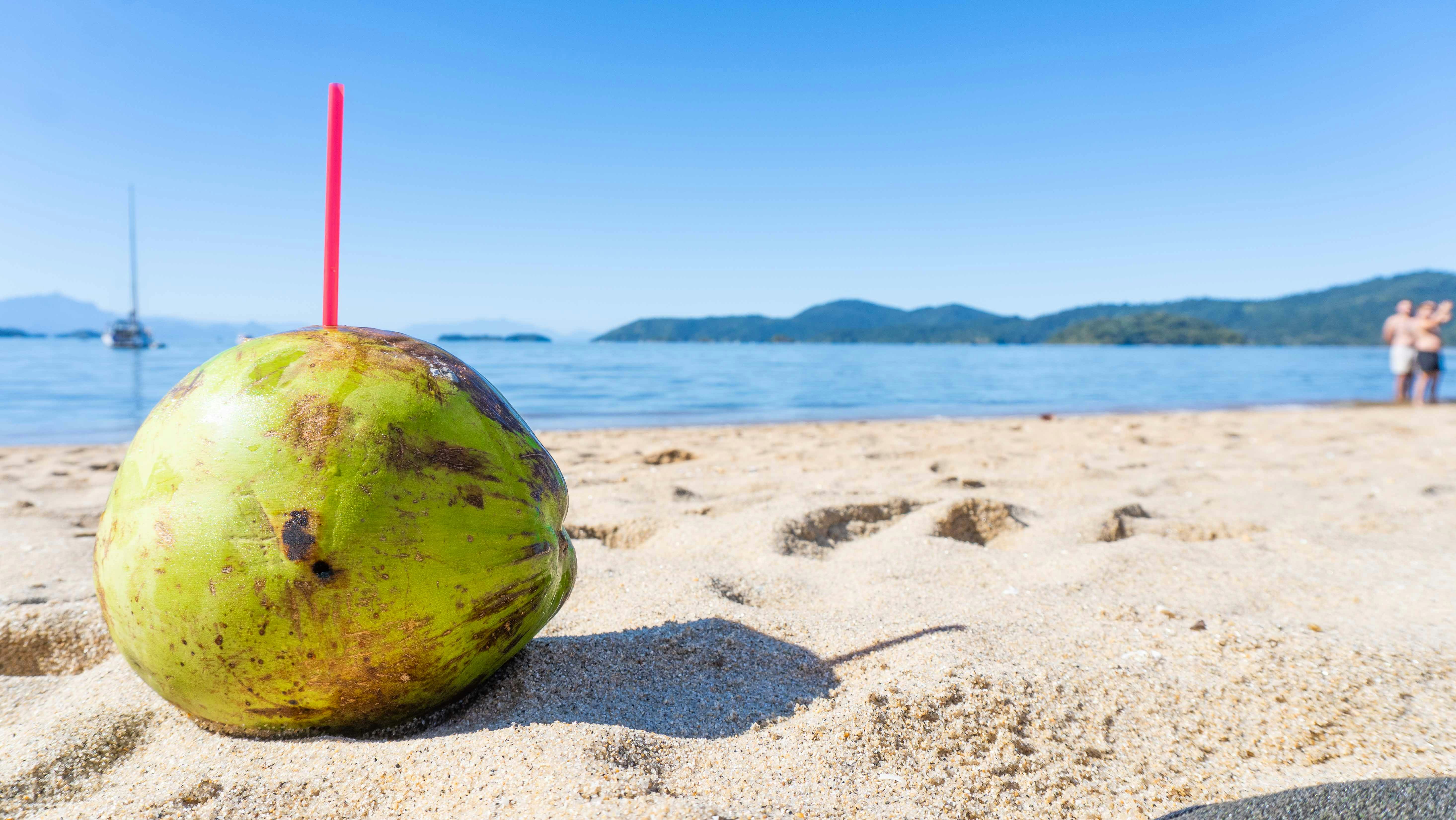 Coconut Spotlight: a lone fruit on sunlit shoreline