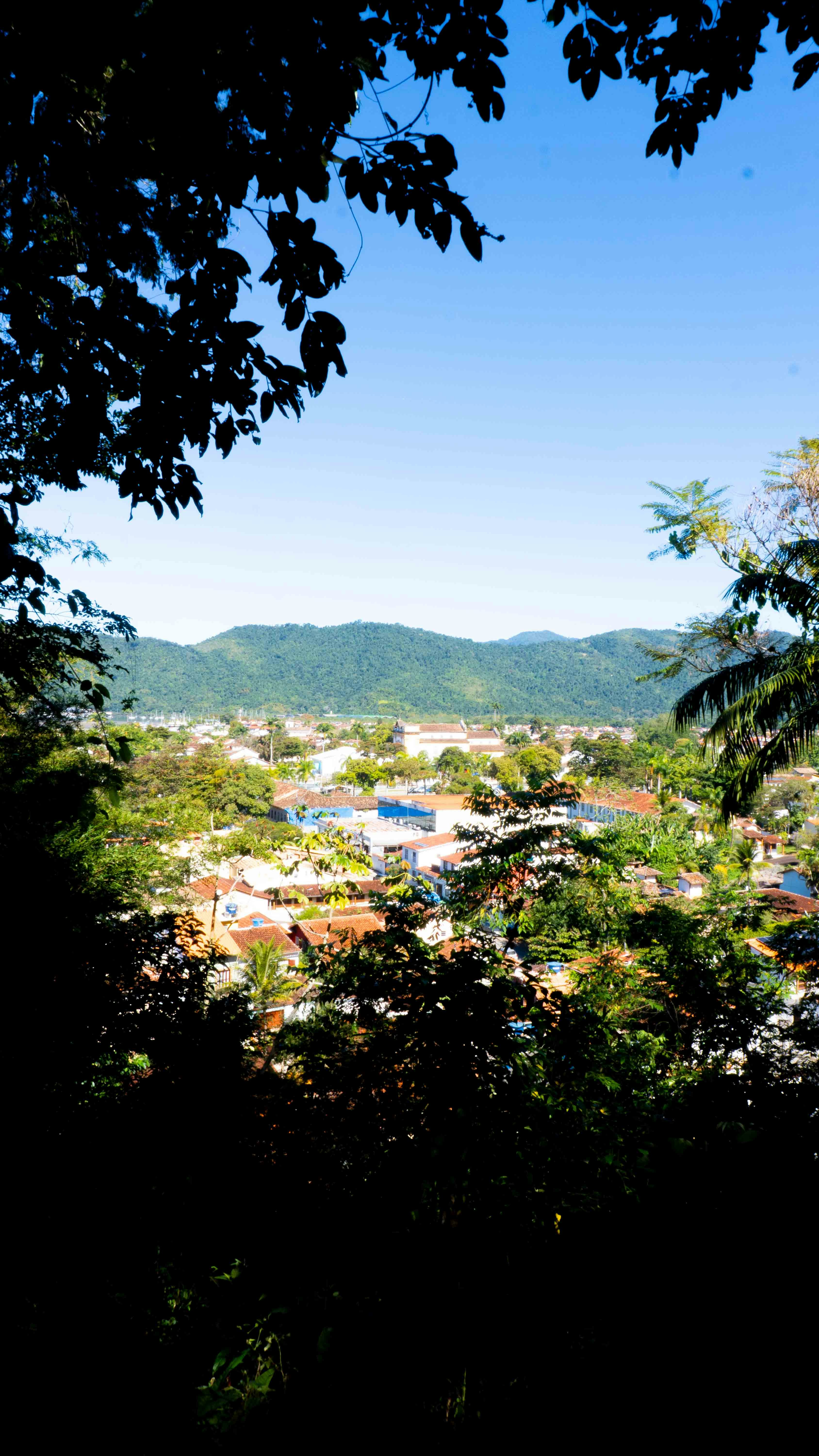 Sunlit Valley Beneath Overarching Canopy